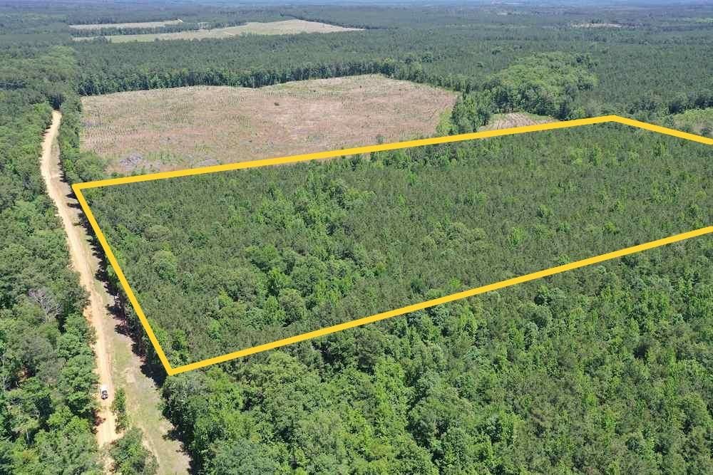 Dallas County Road 121, Fordyce, AR 71742 | MLS: 5137 - Walker's CR 121 ...