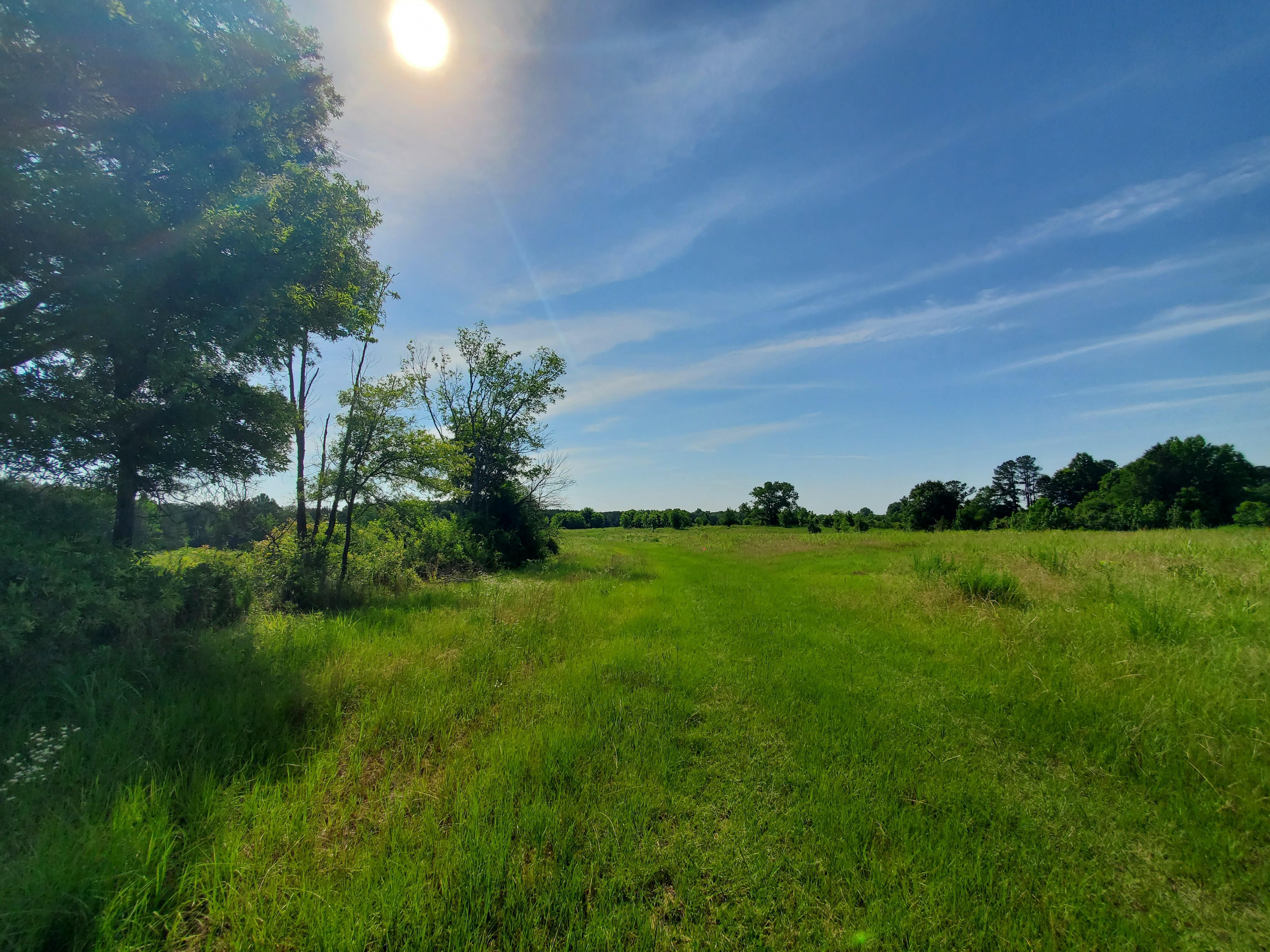 Co Rd 10, Tuskegee, AL 36083 | LandWatch