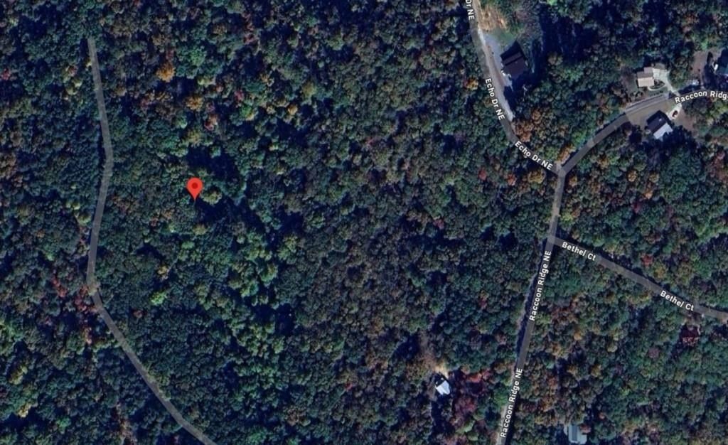 1009 Cut Drive, Ranger, GA 30734 | MLS: 7588566 | LandWatch