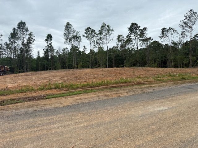 10090 US-278, Beaverton, AL 35544 | LandWatch