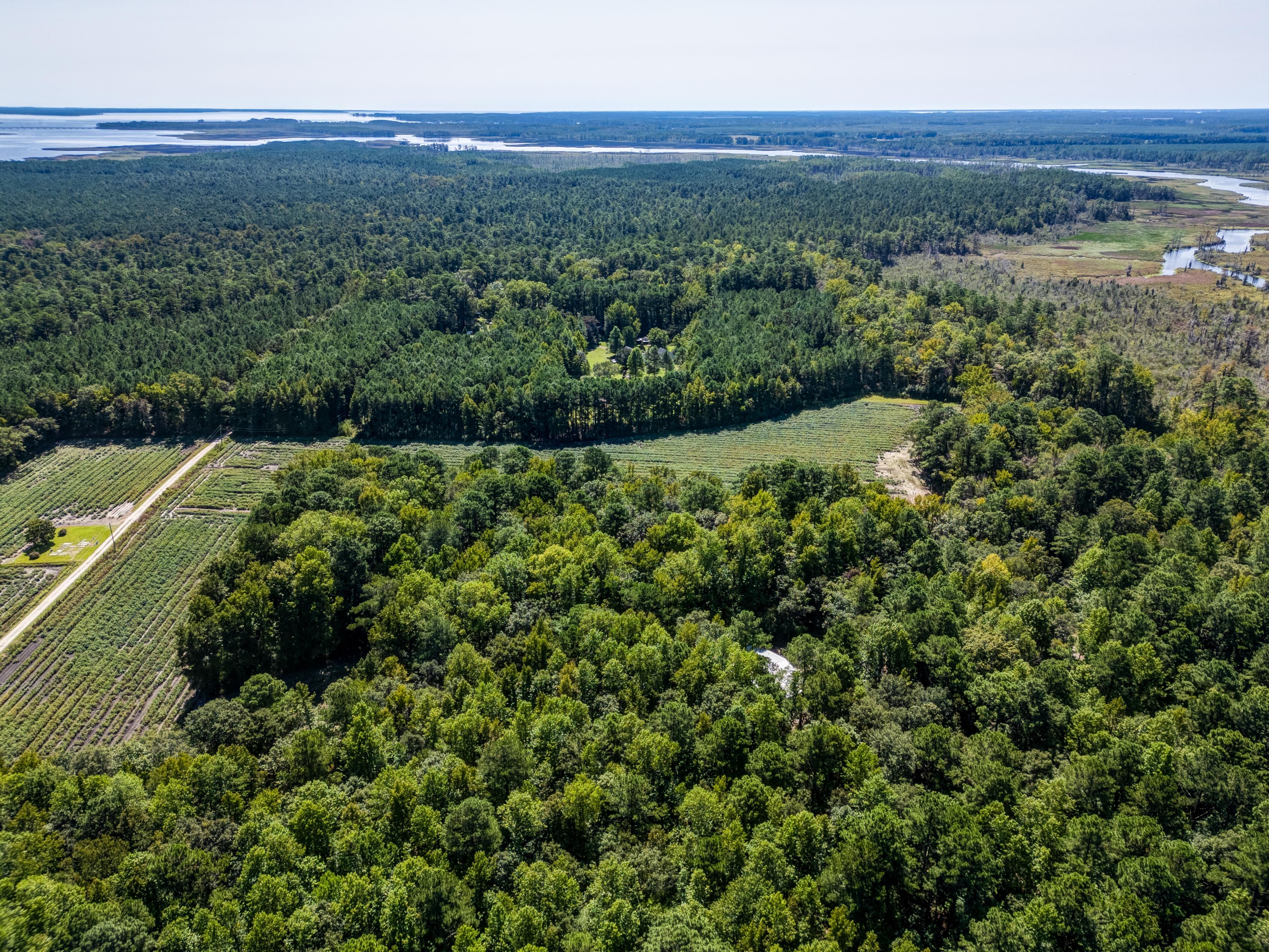 1194.6 Acres in Beaufort County, Pantego, NC 27860 | LandWatch