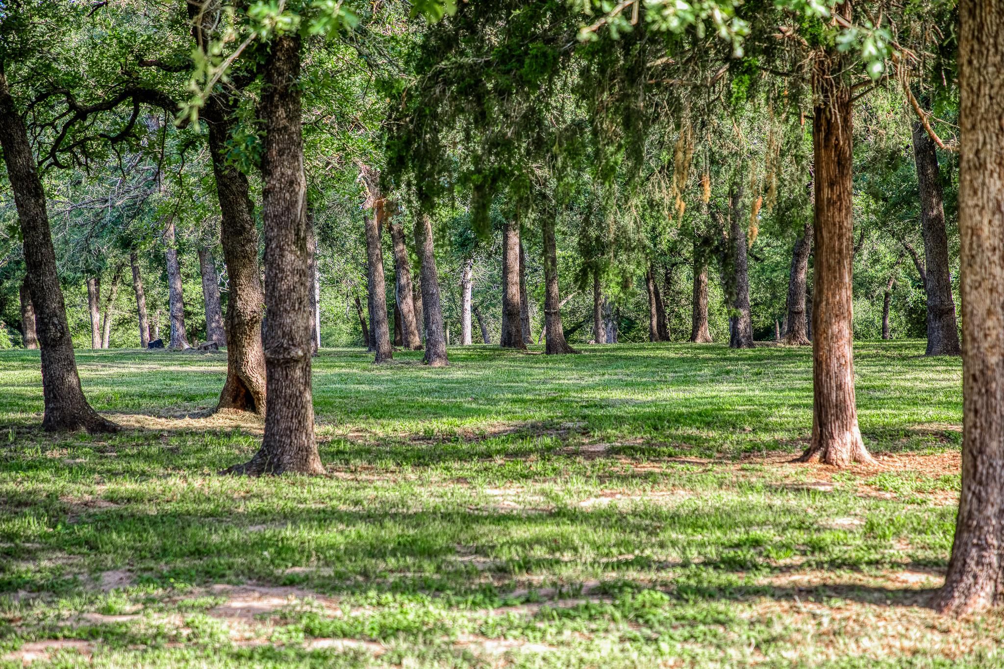 1075 Private Rd 4361, Dime Box, TX 77853 | LandWatch