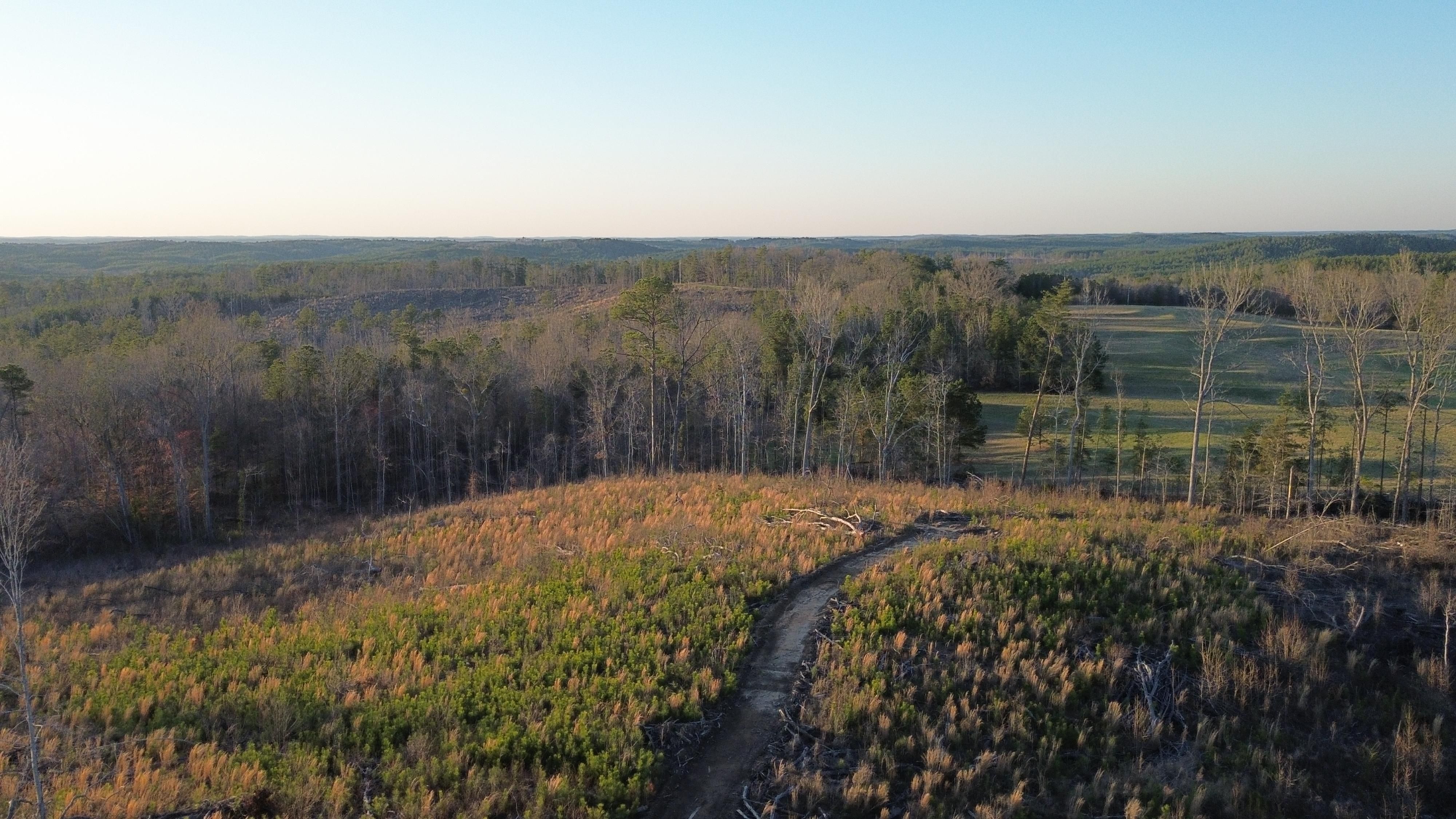 12708 Gas Line Road, Northport, AL 35475 | LandWatch