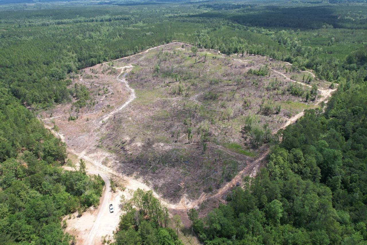 Wall Street, Citronelle, AL 36522 | MLS: WALL STREET 43 ACRES | LandWatch