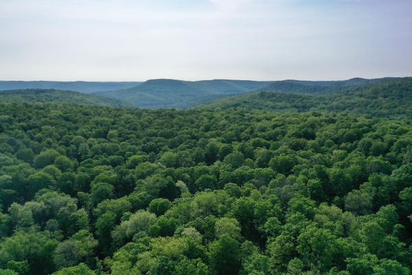 19.5 acres in Millport, PA, 16748 | LandWatch