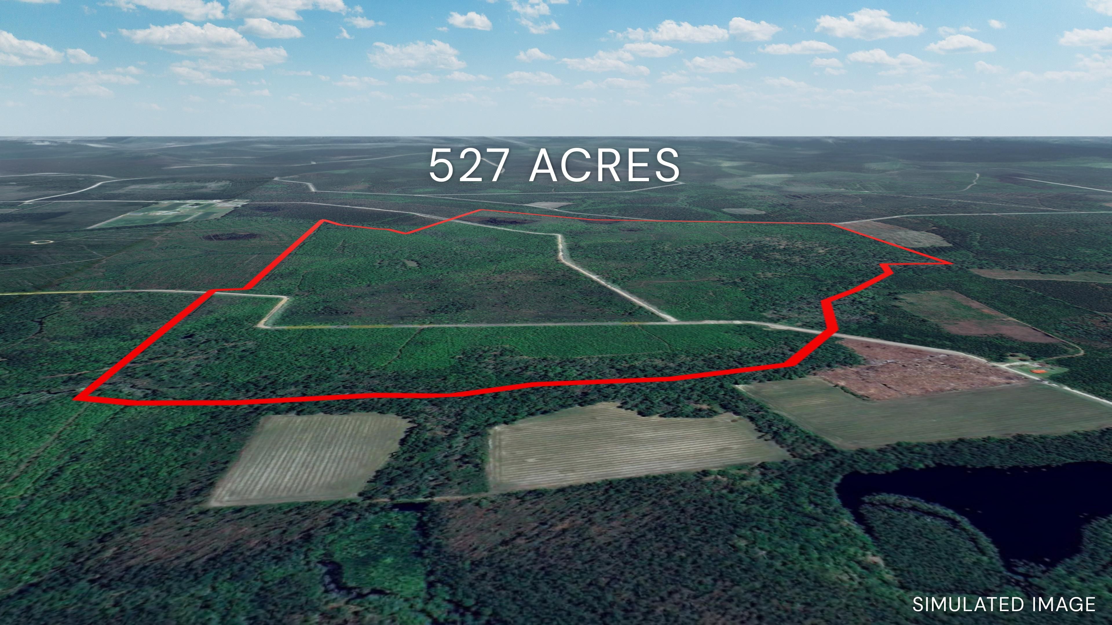 Collins Rd, Nicholls, GA 31554 | MLS: 10536336 | LandWatch