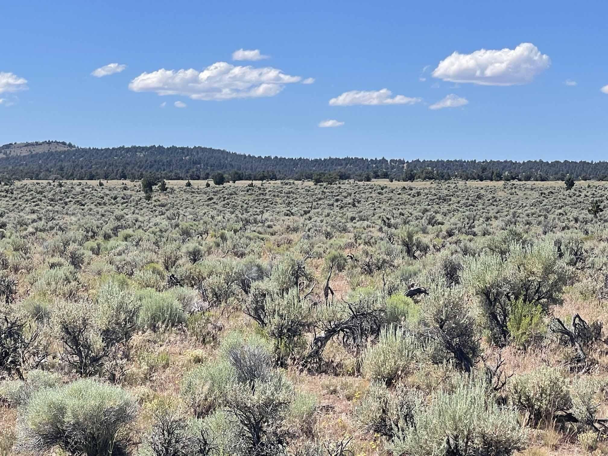 Benjamin Lake Road, Christmas Valley, OR 97641 | MLS: 220203243 | LandWatch