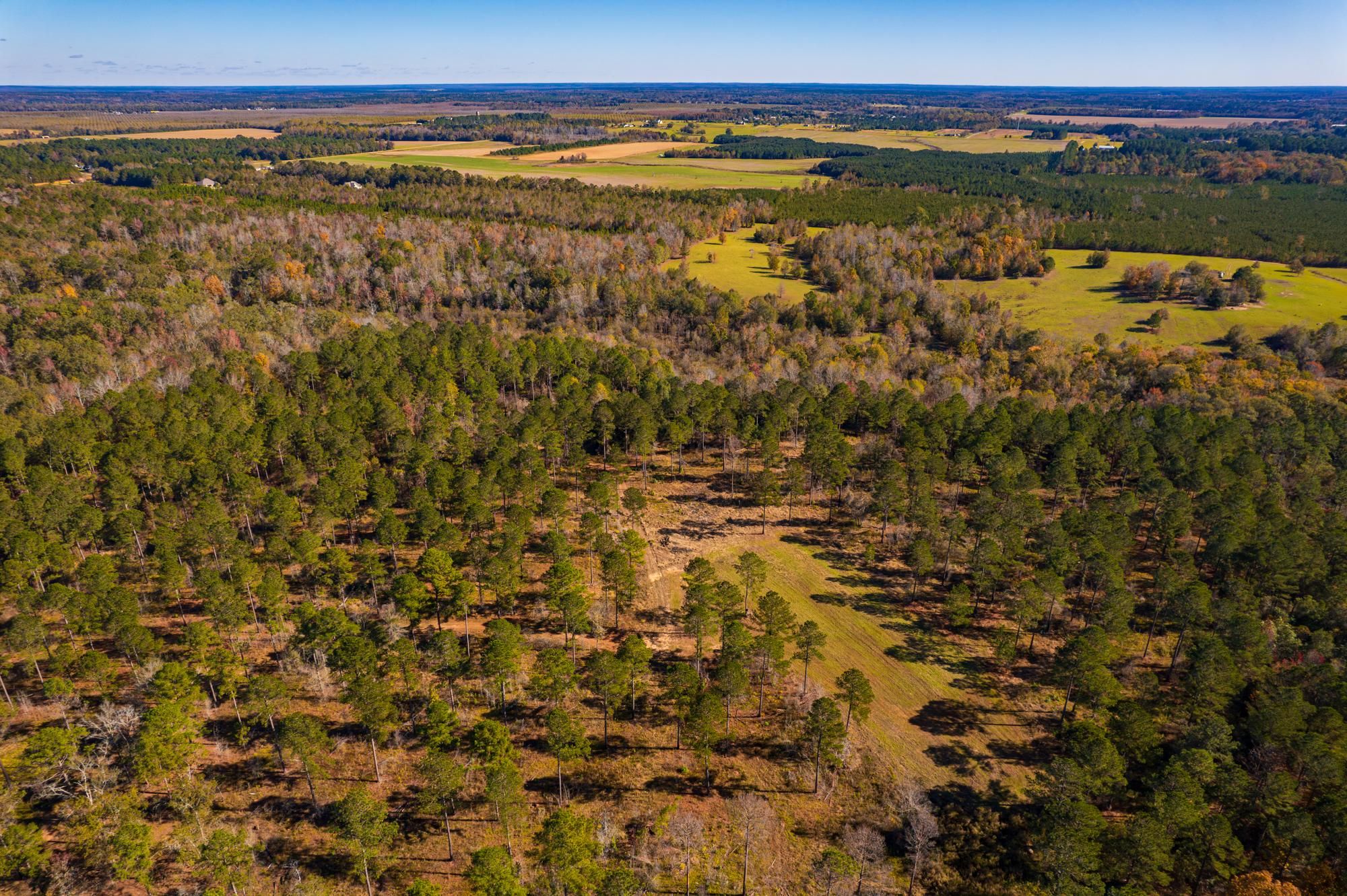 GA-26, Elko, GA 31025 | MLS: 10418617 | LandWatch