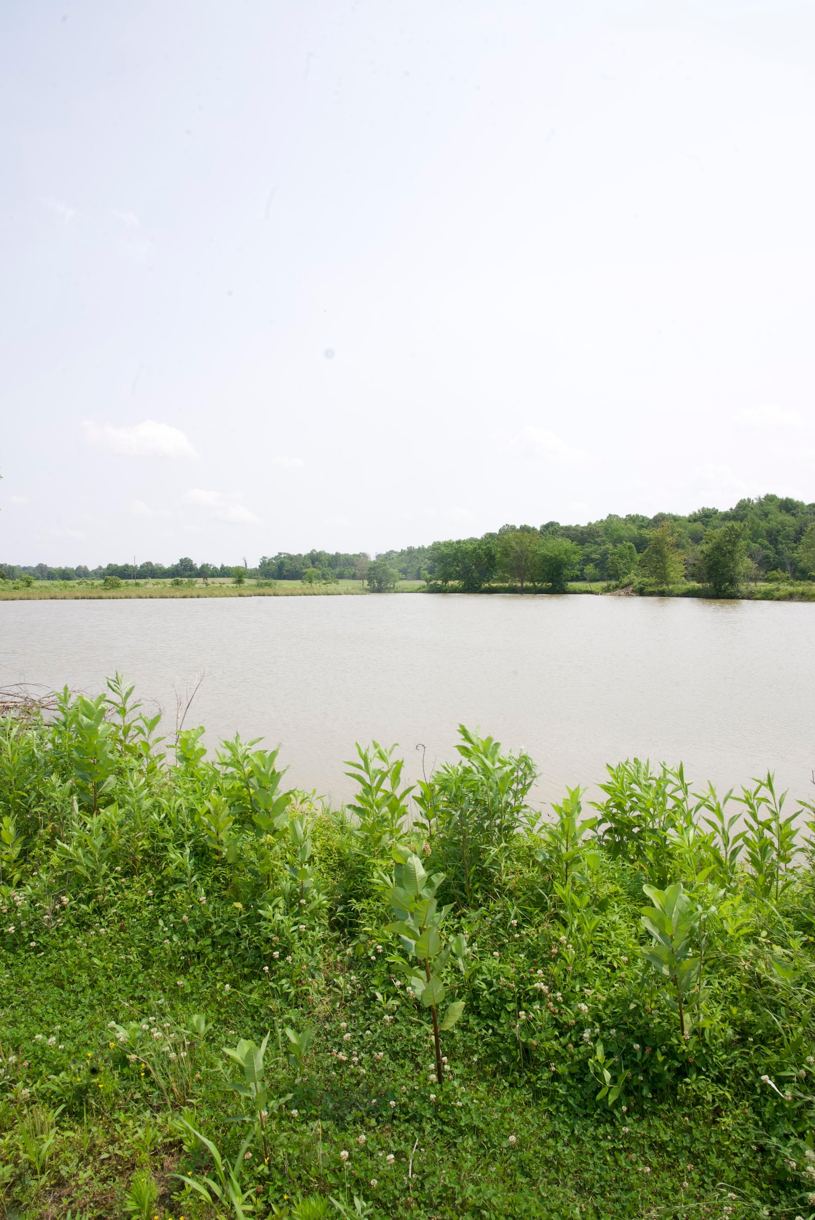 32 acres in Hanson, KY, 42413 | LandWatch
