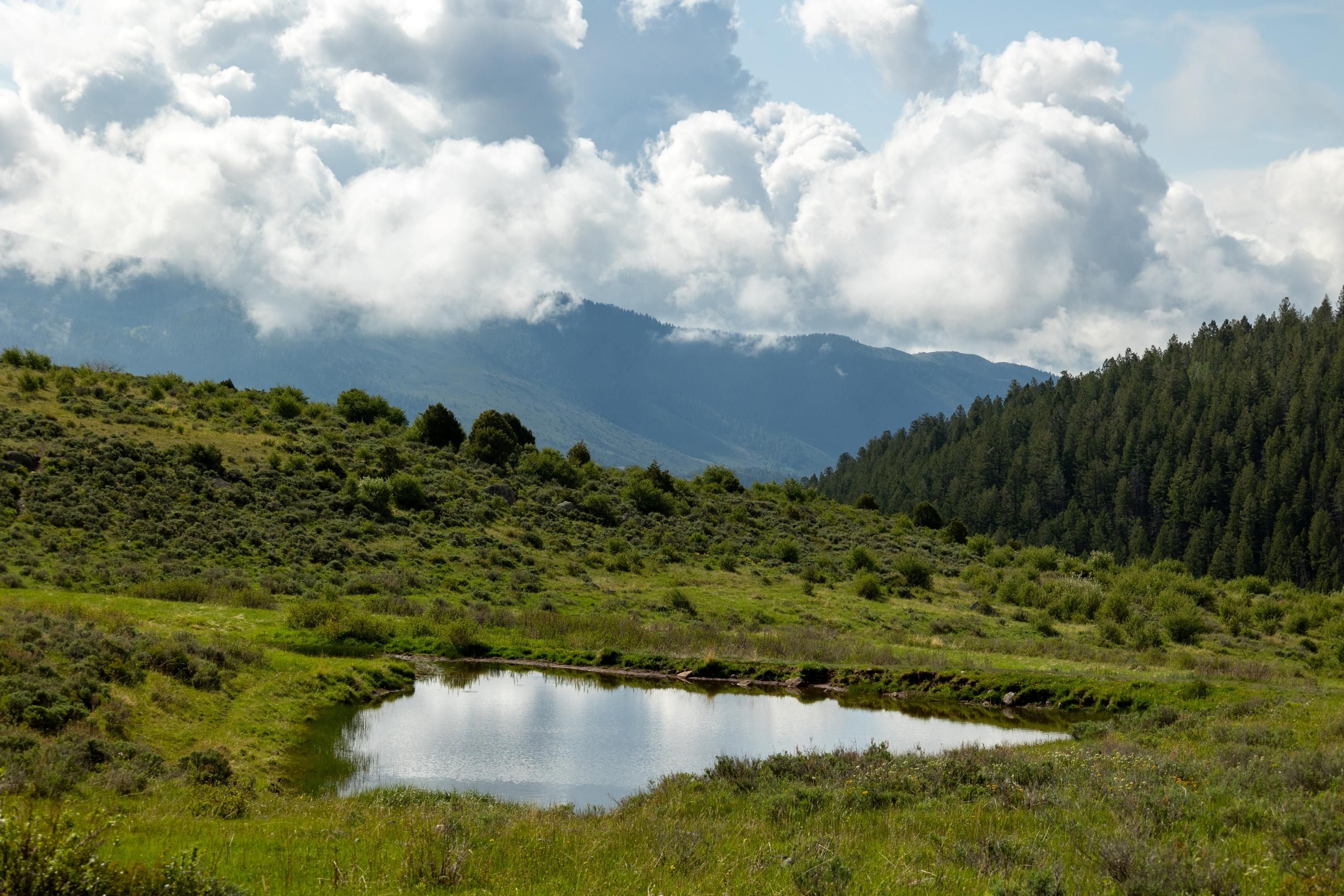 160 acres in Toponas, CO, 80479 | MLS: S1060099 | LandWatch