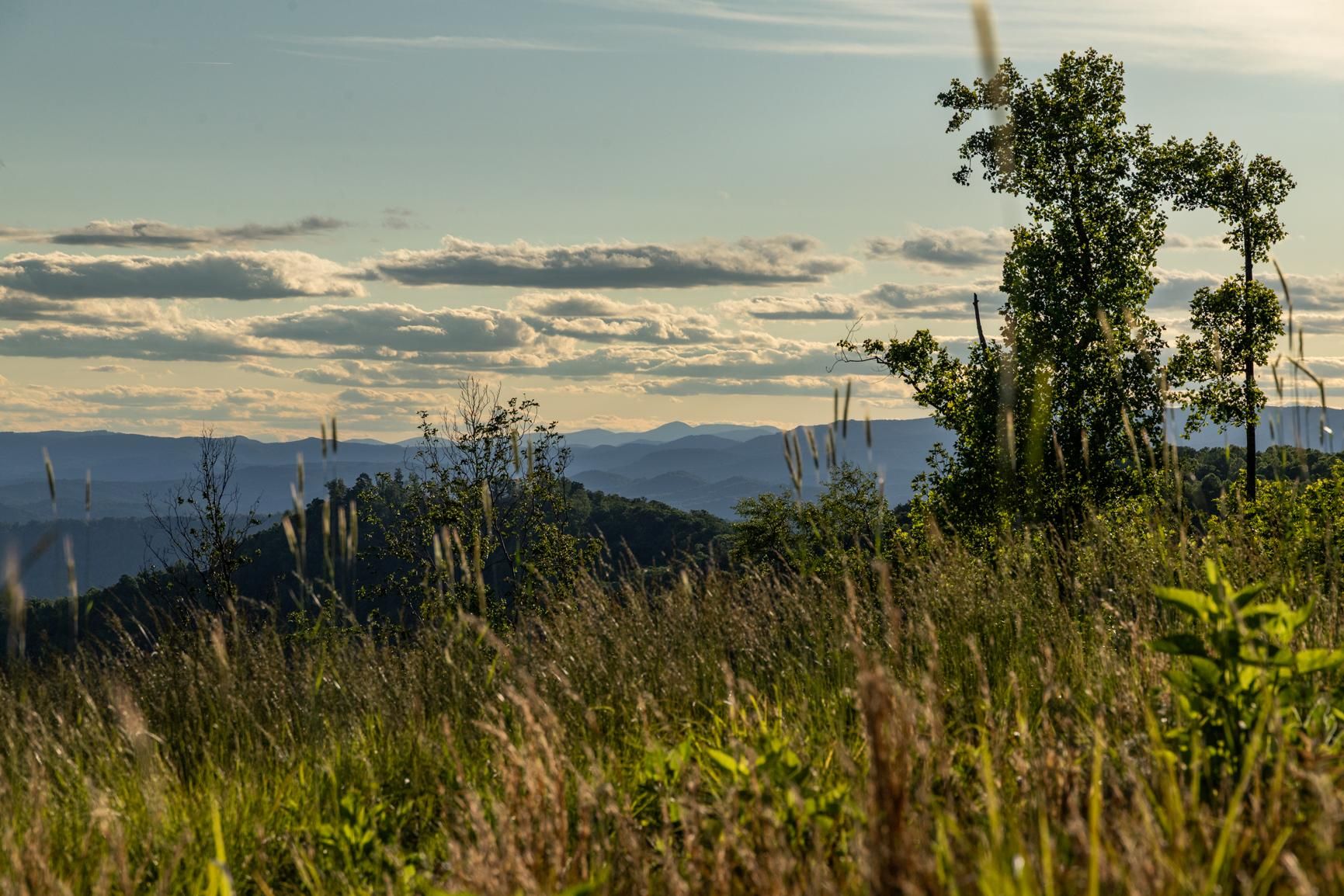 000 Swaringen Road, Traphill, NC 28685 | LandWatch