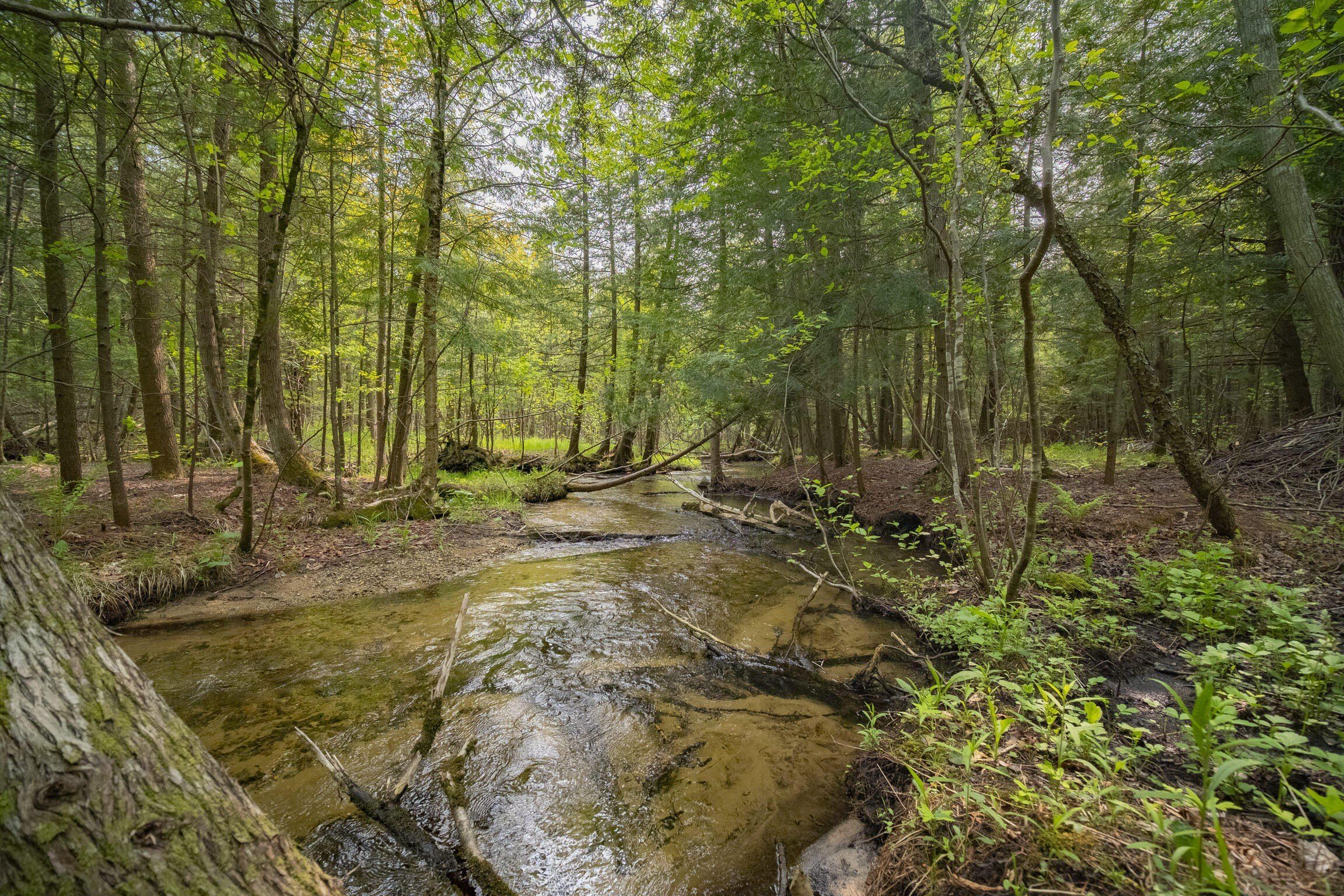 Carter Creek Road, Beulah, MI 49617 | MLS: 25026609 | LandWatch