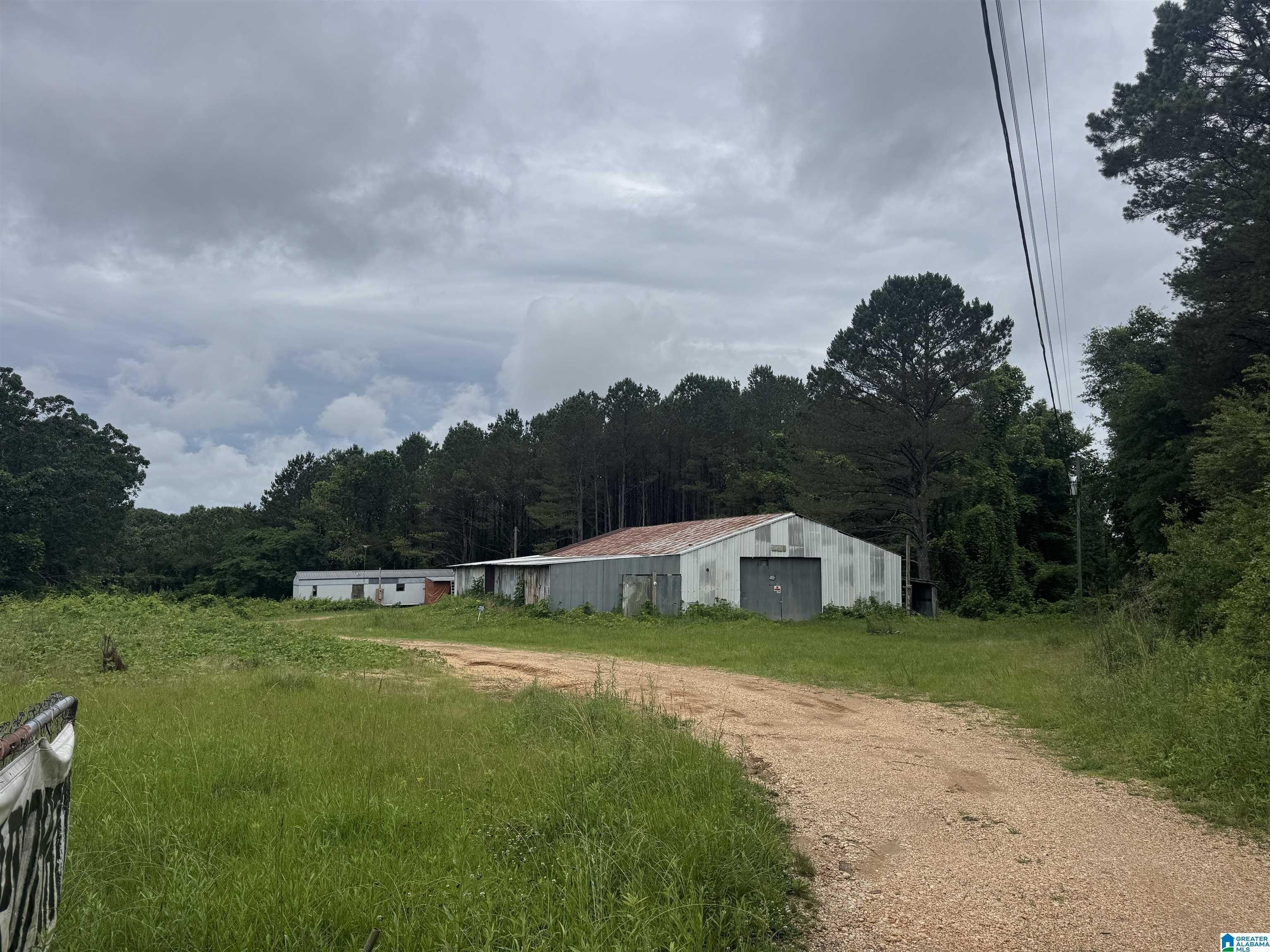 1293 COUNTY ROAD 196, Haleyville, AL 35565 | MLS: 21421189 | LandWatch