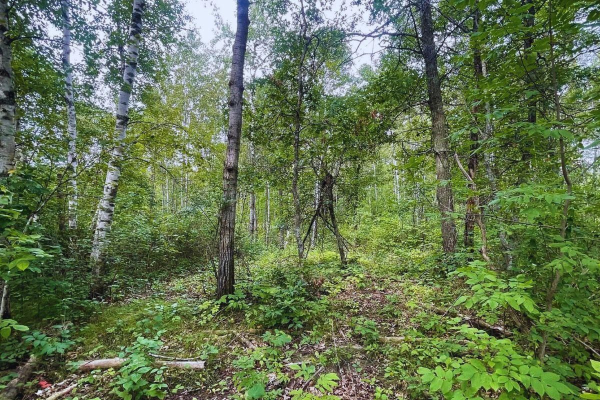 Flinstone Drive, Cushing, MN 56443 | MLS: Morrison 0.68 Acres ...