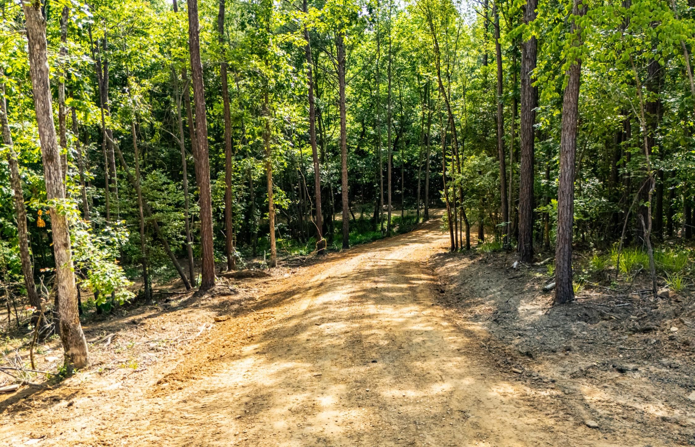 850 County Road 391, Winfield, AL 35594 | MLS: 25-1160 | LandWatch