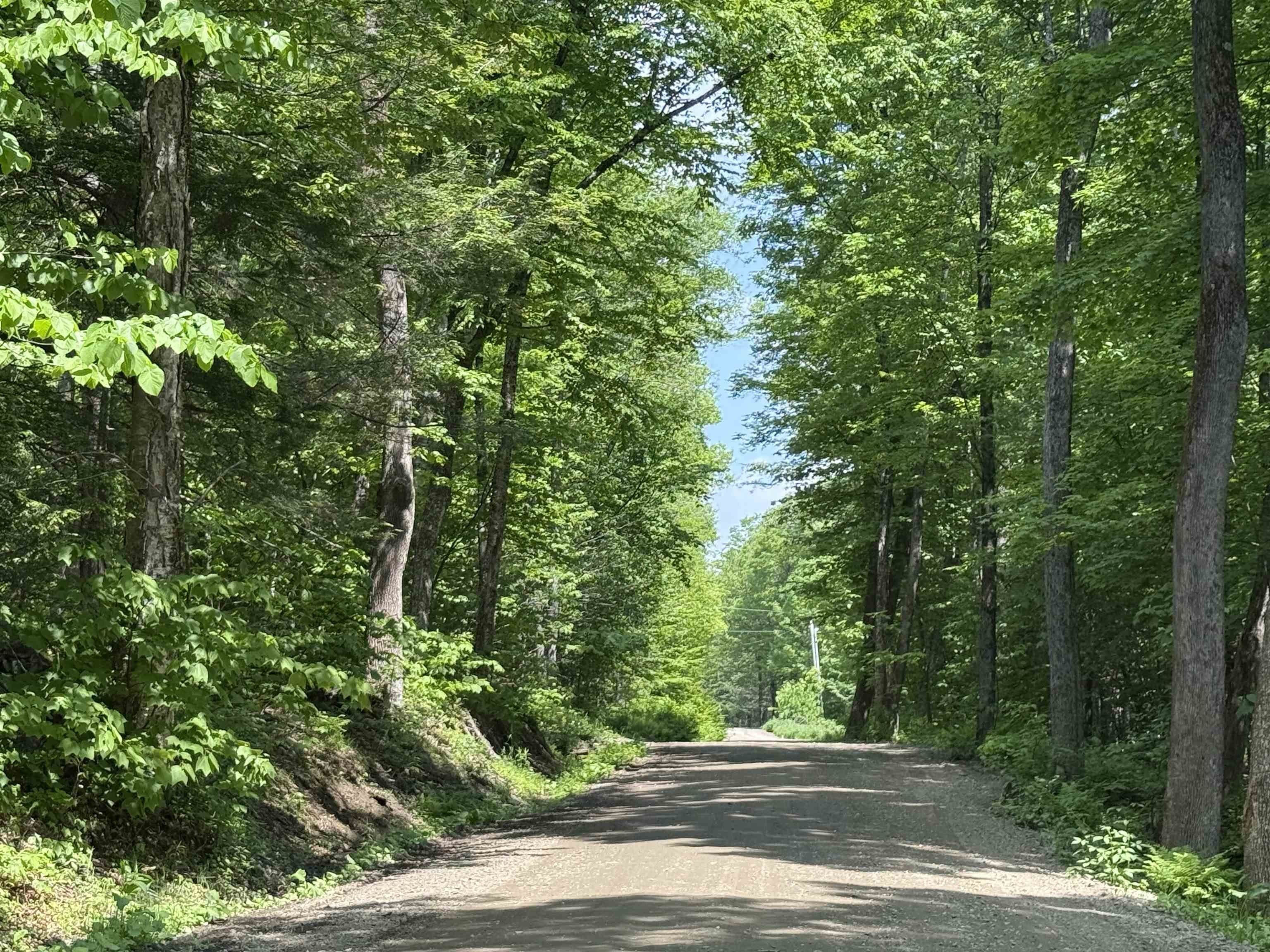 251 Phillips Hill Road, Halifax, VT 05358 | MLS: 5045217 | LandWatch