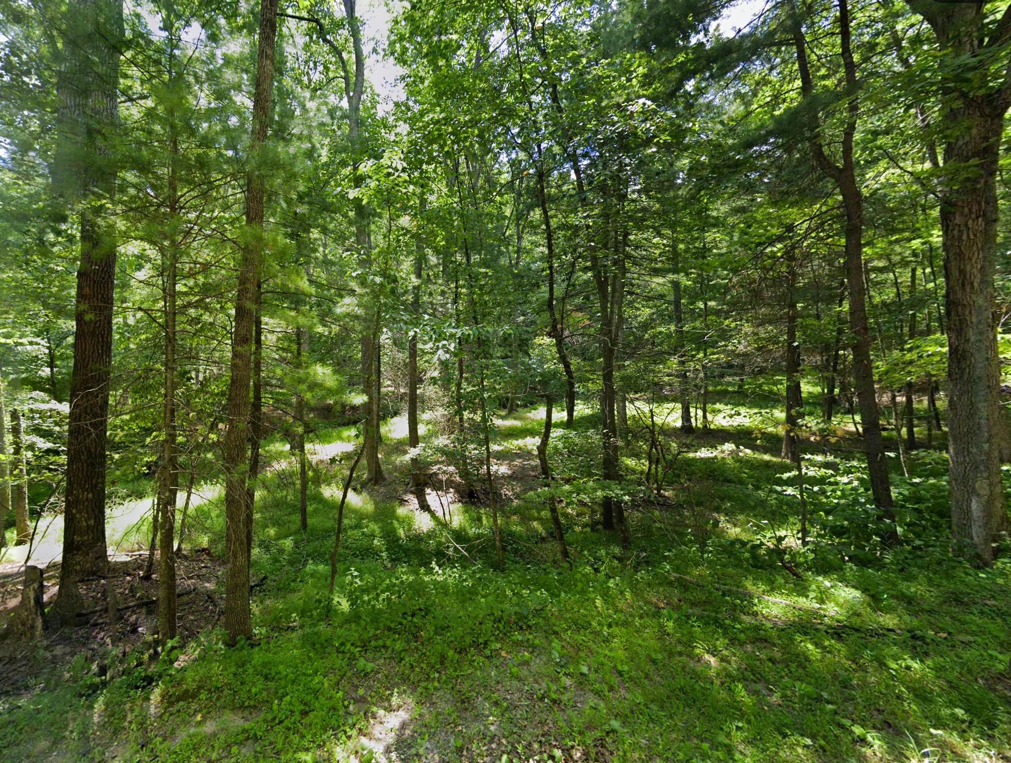 Woodland Mountain Trail, Augusta, WV 26704 | LandWatch