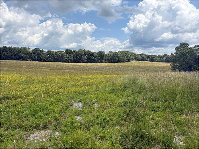 0 Hester Ridge Road, Wallingford, KY 41093 | MLS: 43778 | LandWatch