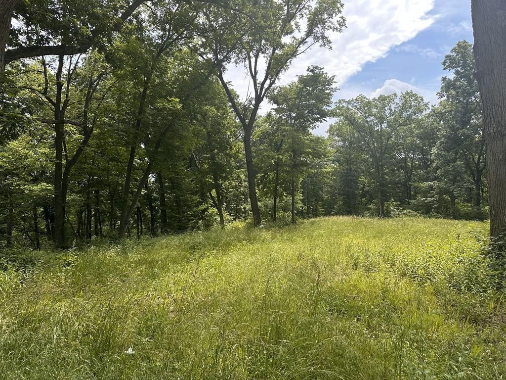 0000 Highway Z, Tina, MO 64682 | MLS: 41760 | LandWatch