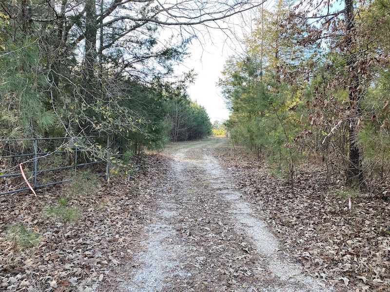 4631 Highway 229, Carthage, AR 71725 | LandWatch