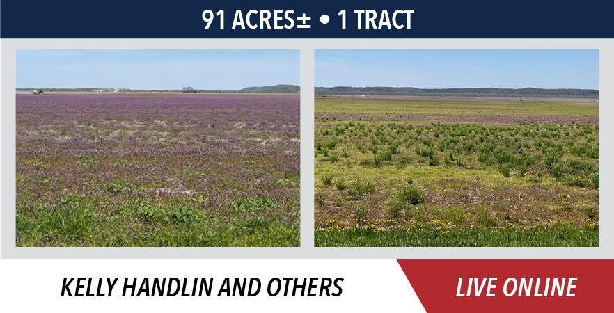 91 acres in Eldred, IL, 62027 | LandWatch