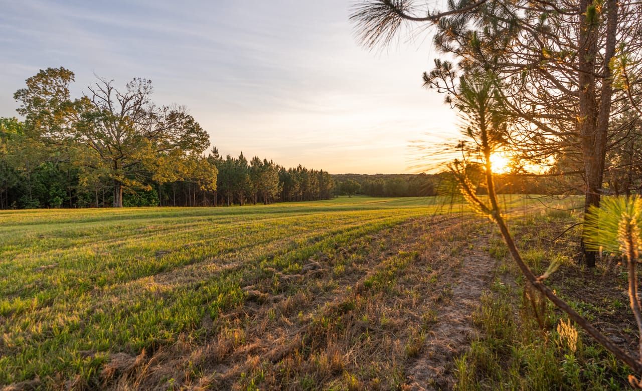 Moore Road, Grady, AL 36036 | LandWatch