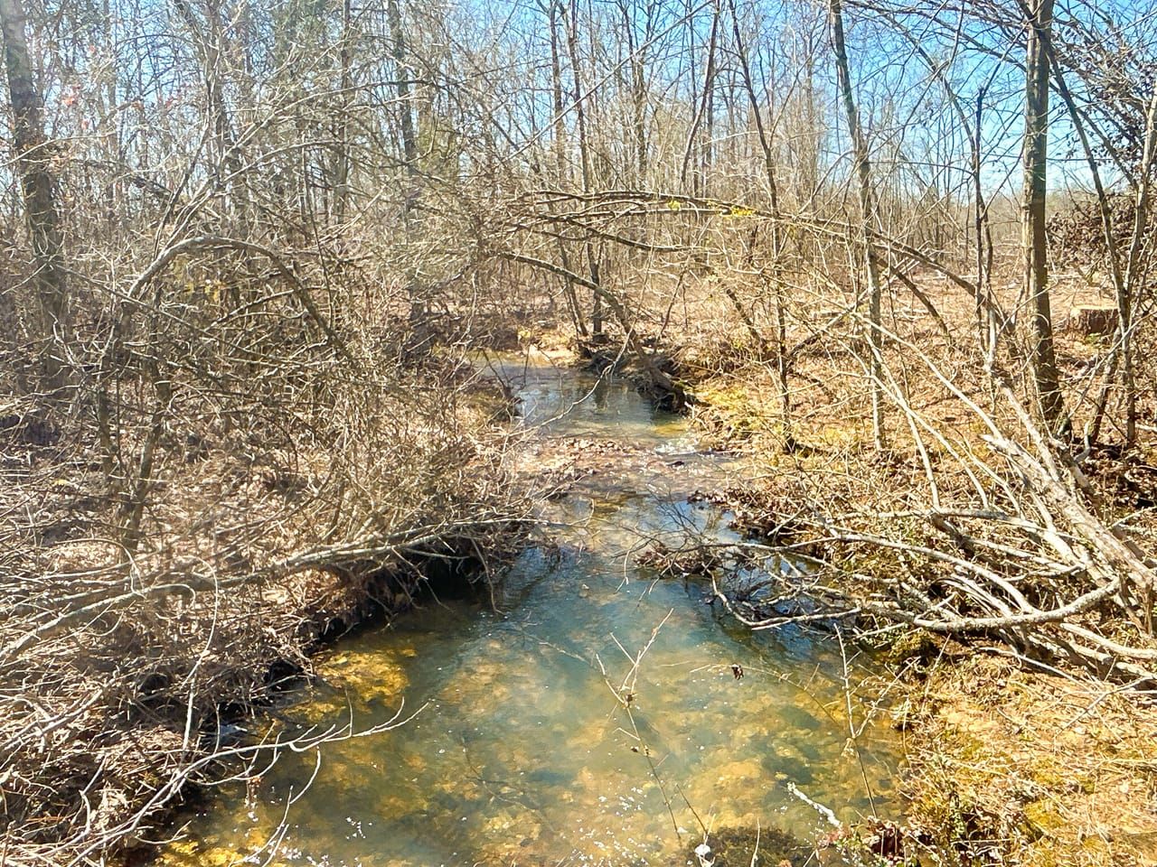 Forest Road, Kirby, AR 71950 | LandWatch