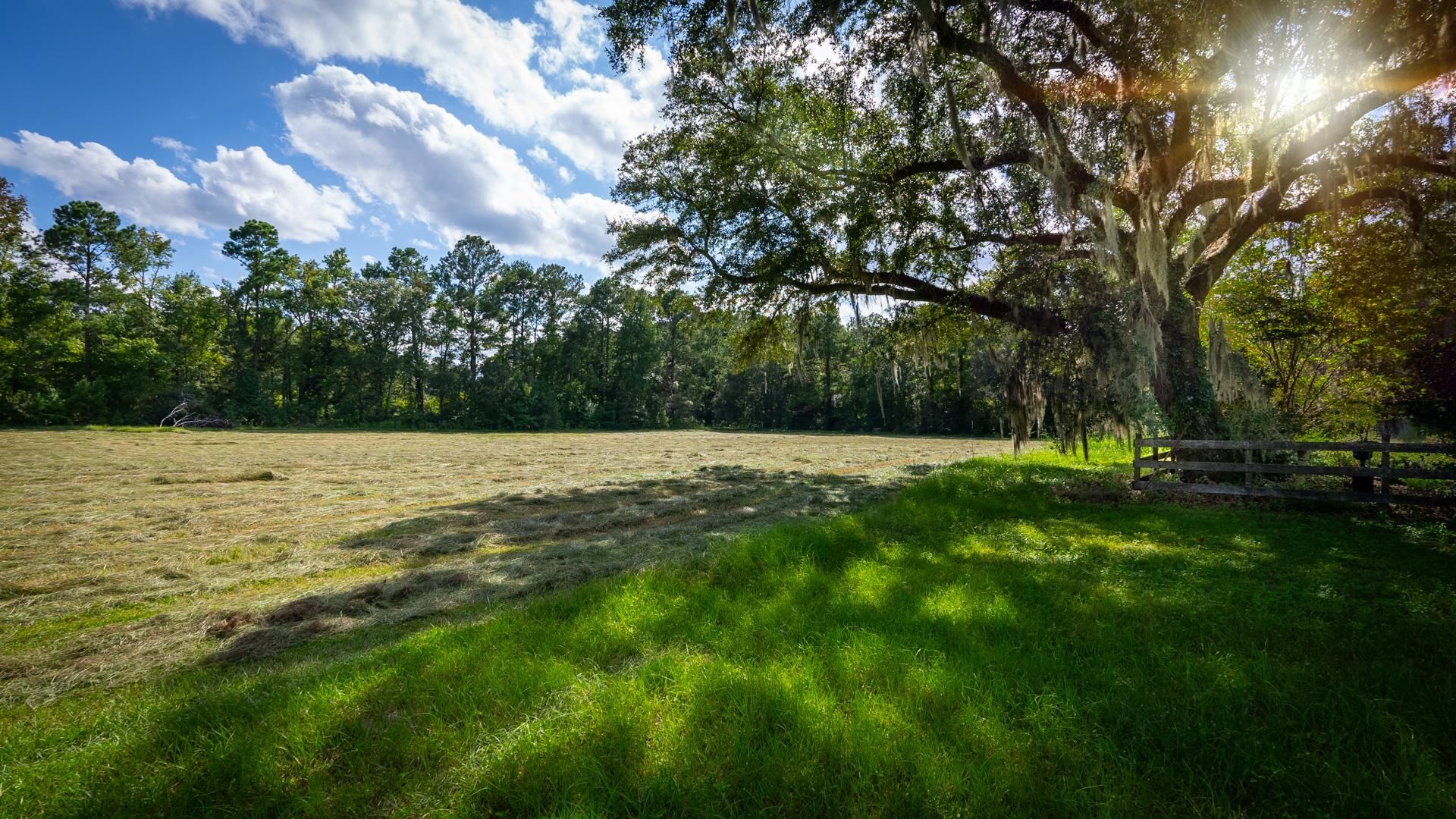 900 acres in Jacksonboro, SC, 29452 | LandWatch