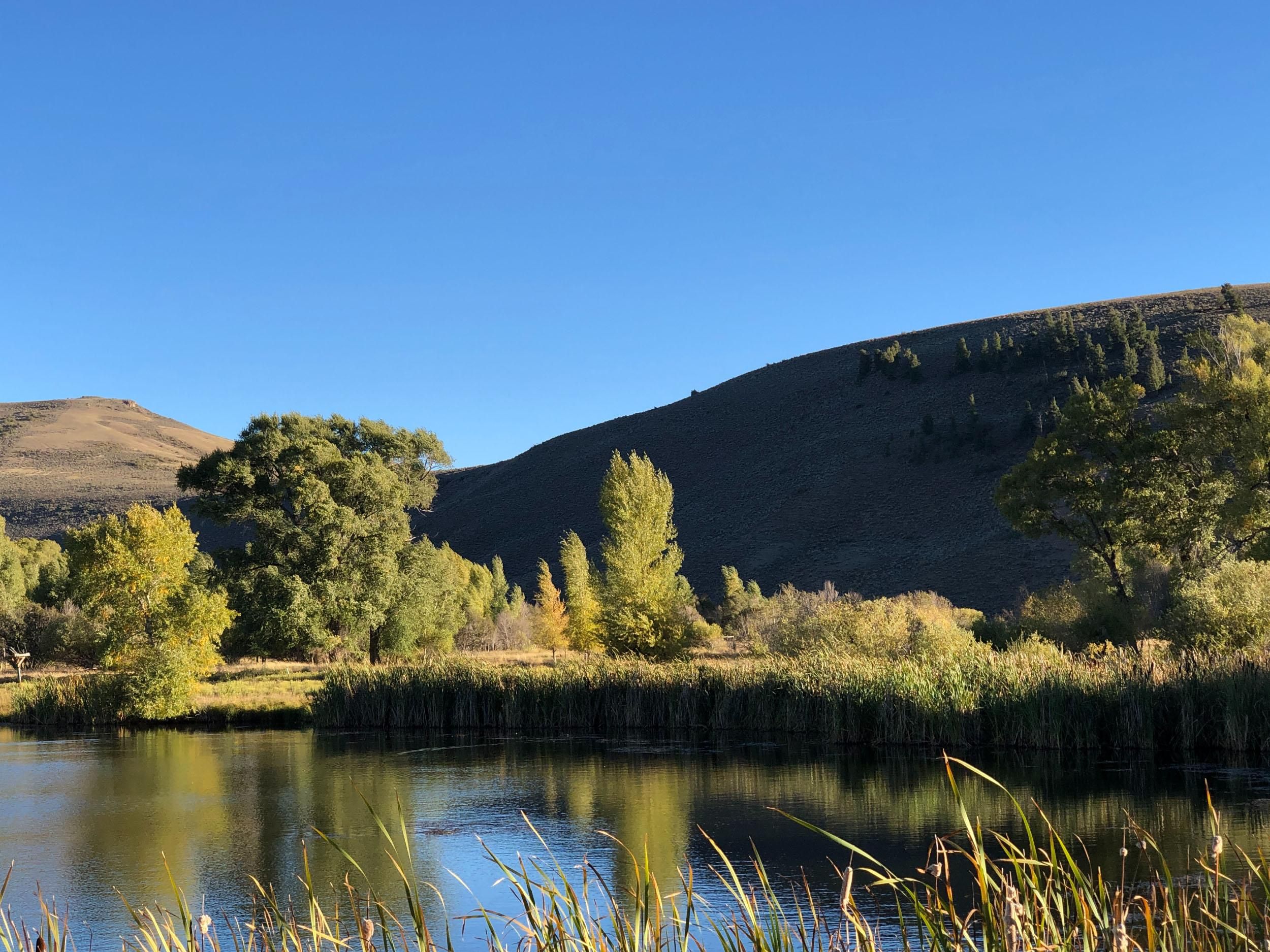 49550 U.S. 50, Gunnison, CO 81230 | LandWatch