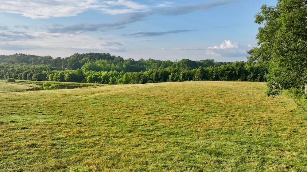 Off of Paschall Rd Lot#WP001, Warrenton, NC 27589 | LandWatch