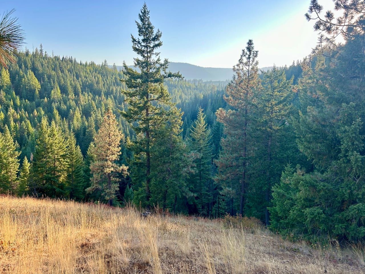 Craigs Cabin Road, Elgin, OR 97827 | LandWatch