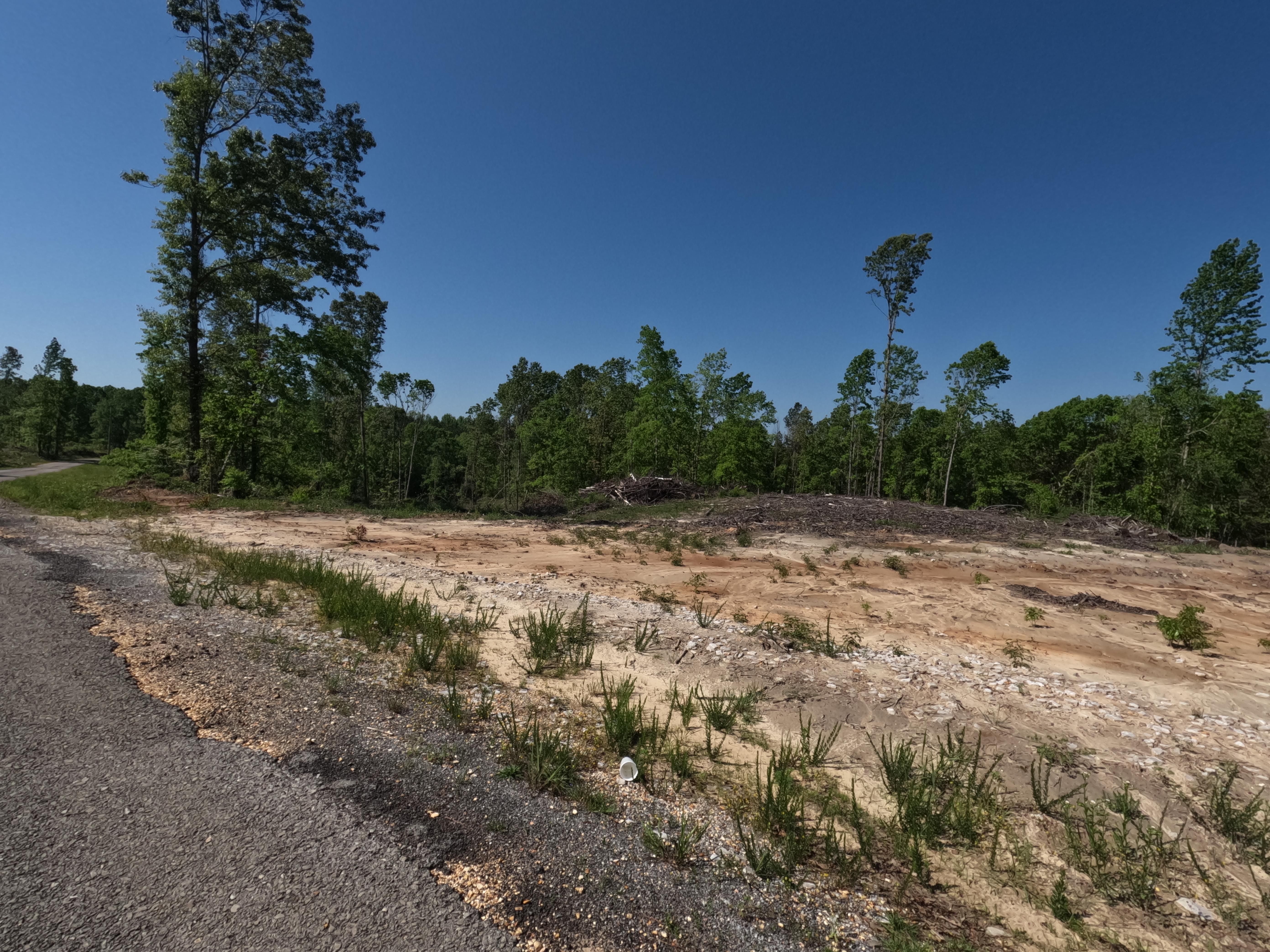 12.2 acres in New Site, MS, 38859 | MLS: LR&D Tract 2 | LandWatch