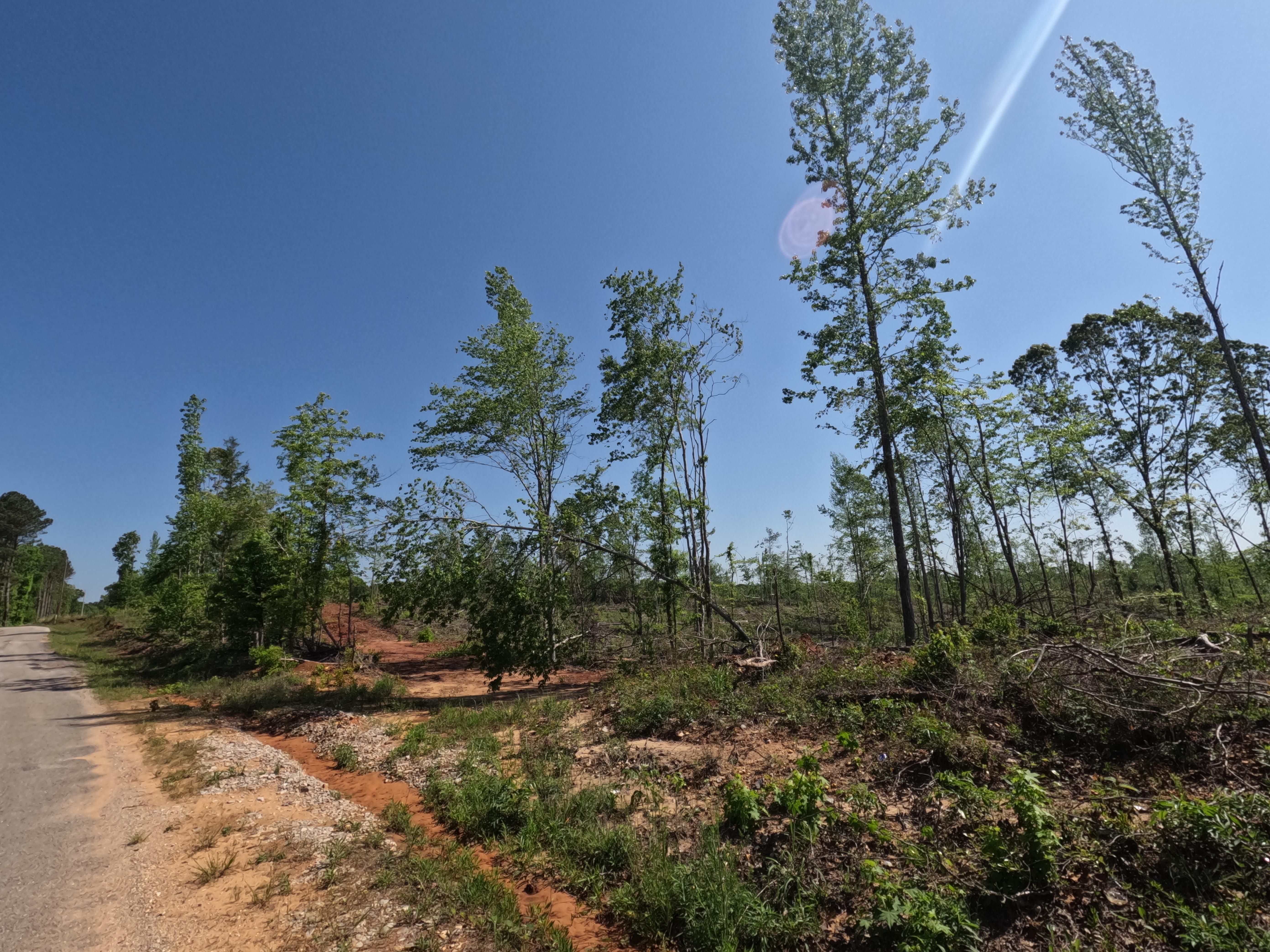 17.9 acres in New Site, MS, 38859 | MLS: LR&D Tract 26 | LandWatch