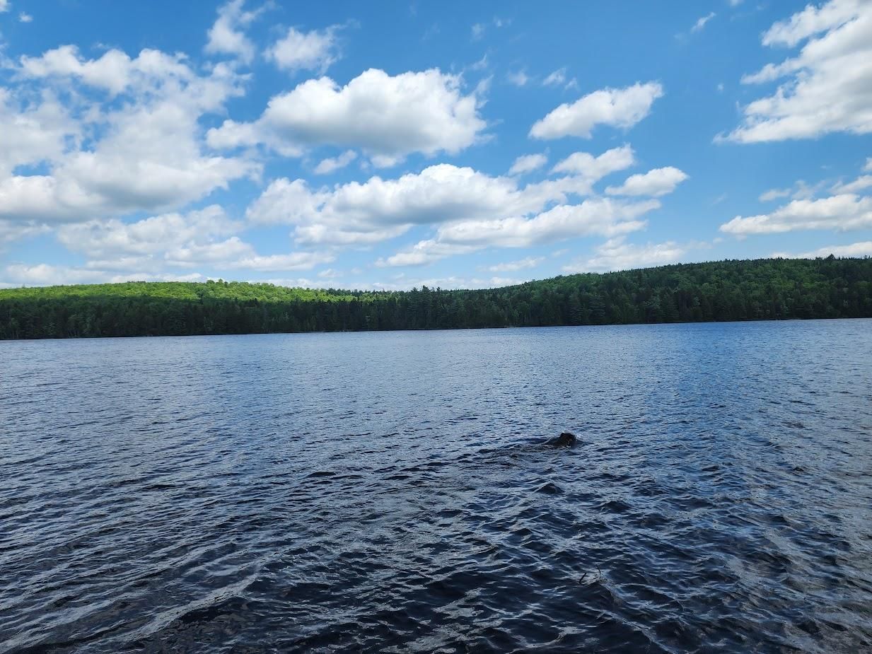 Deer Point West lot D, Robbinston, ME 04671 | MLS: 1622055 | LandWatch