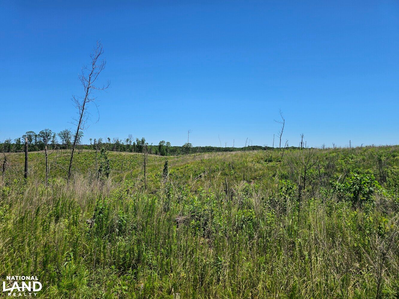 000 Pea Ridge Rd, Waterloo, AL 35677 | LandWatch