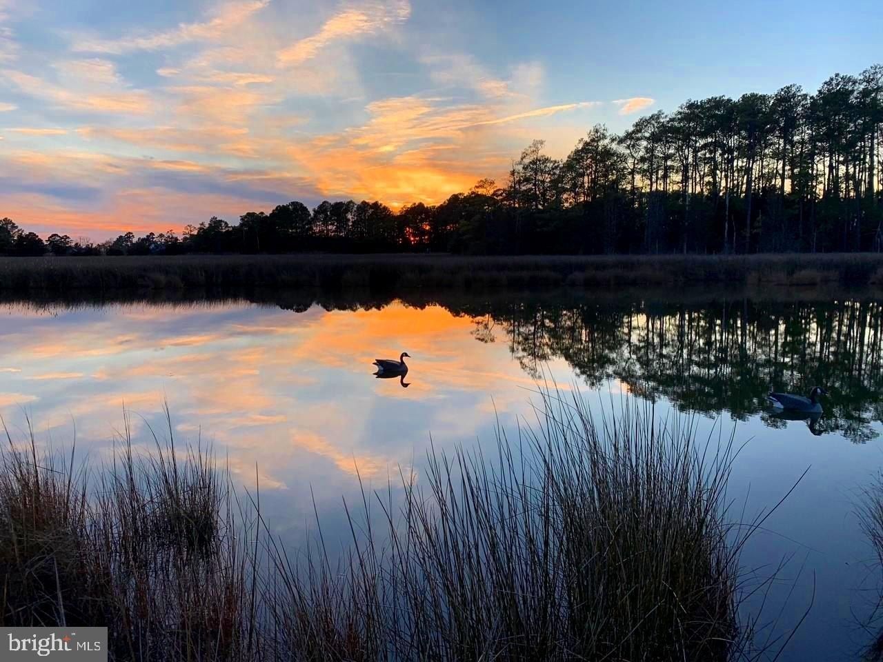 1907 BISHOPS HEAD RD, Toddville, MD 21672 | MLS: MDDO2009850 | LandWatch