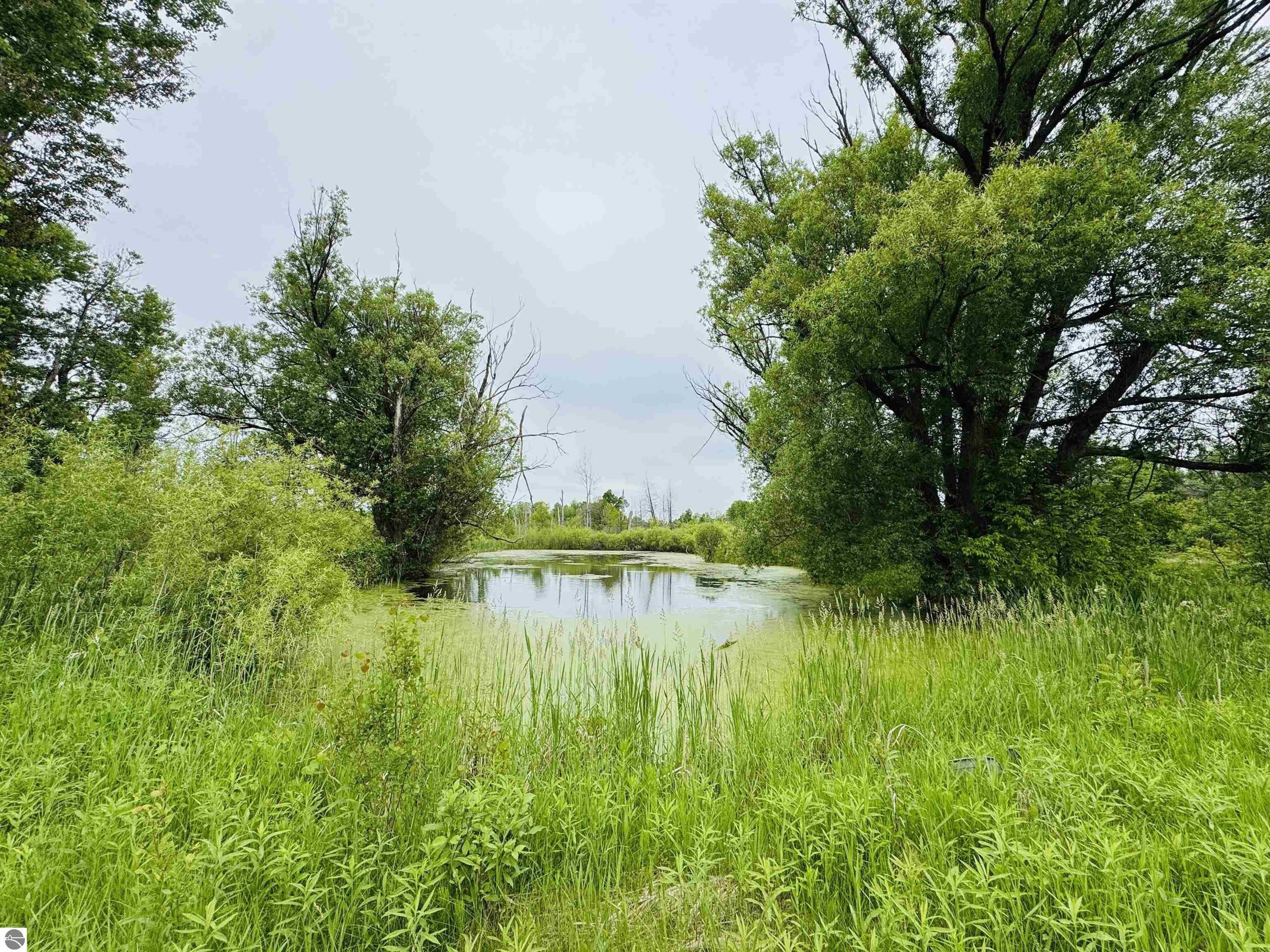 E 12 3/4 Road, Manton, MI 49663 | MLS: 1935119 | LandWatch