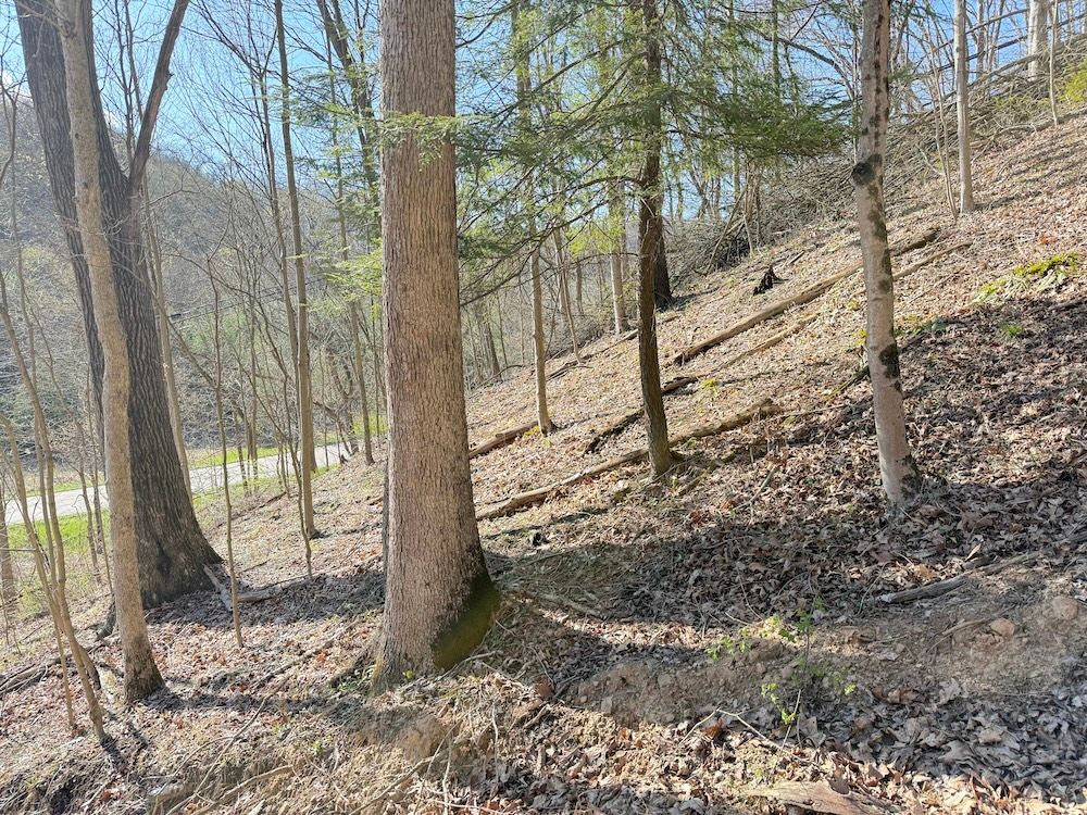 County Road 22 A, Bloomingdale, OH 43910 | LandWatch