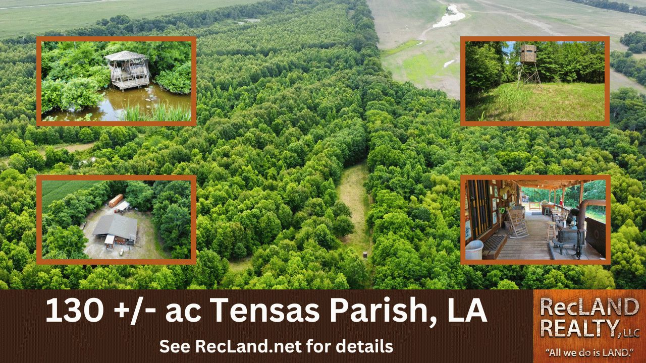 130 acres in Saint Joseph, LA, 71366 | LandWatch