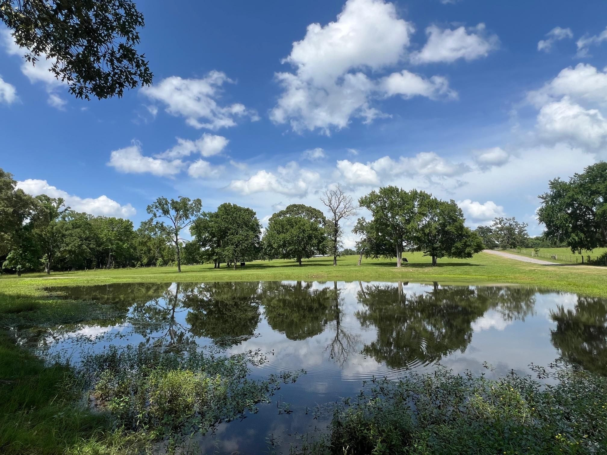 7210 County Road 2761, Buffalo, TX 75831 | LandWatch