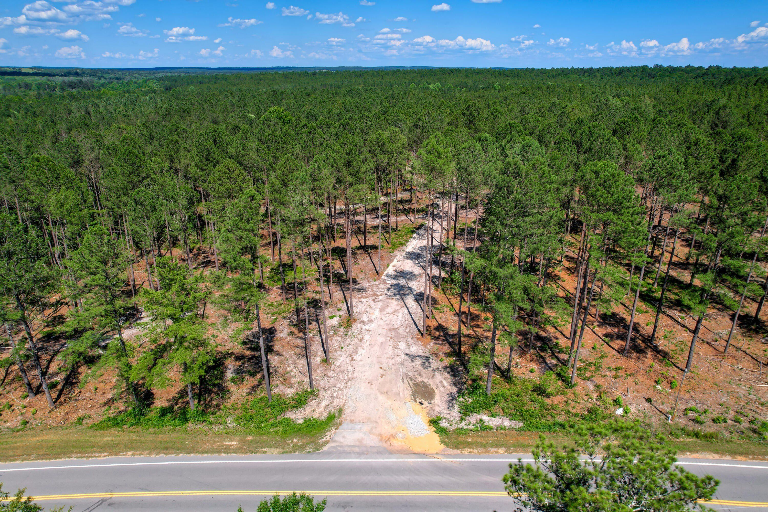 420 Acres Columbia Highway N, Ridge Spring, SC 29129 | MLS: 217927 ...