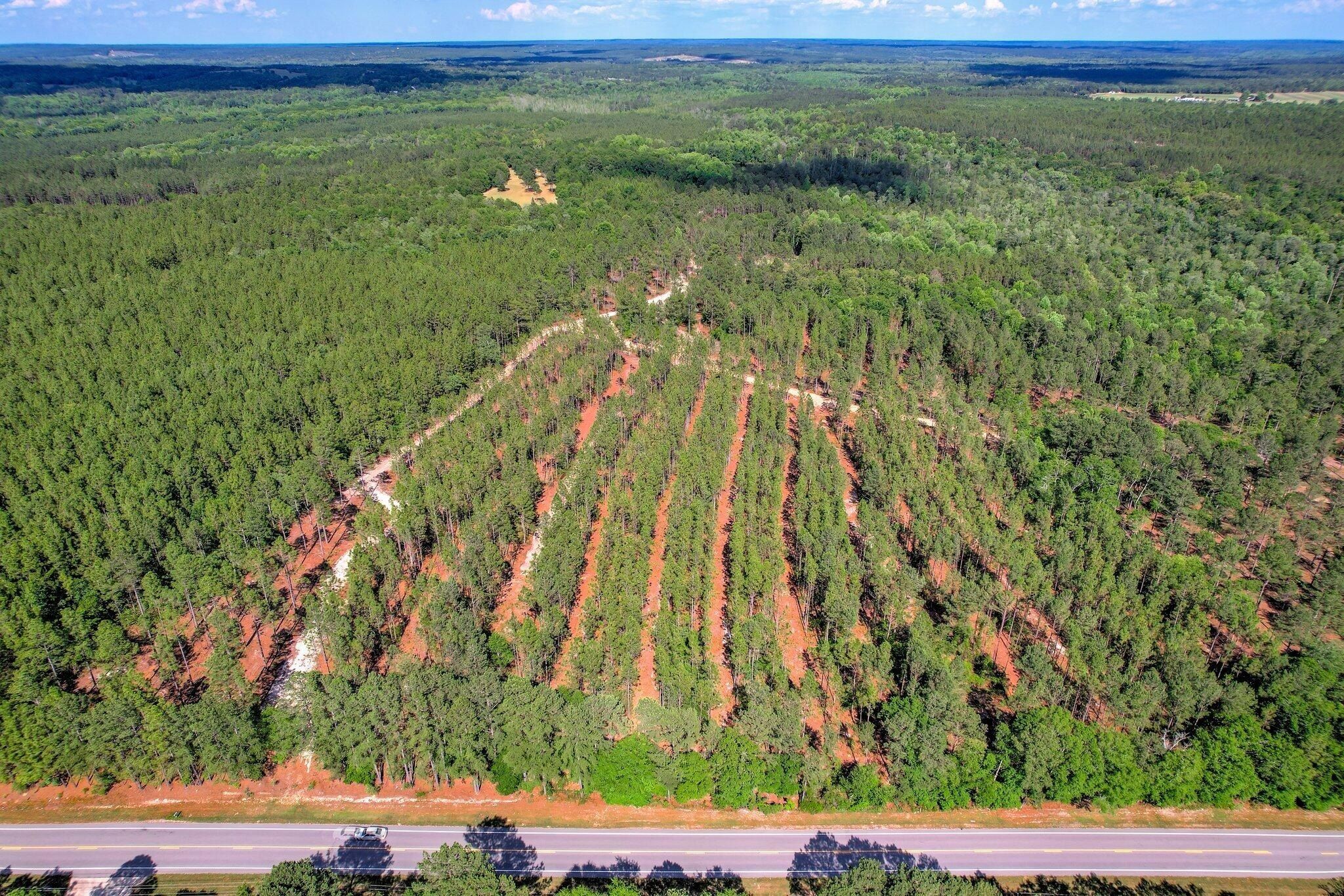 80 Acres Columbia Highway N, Ridge Spring, SC 29129 | MLS: 217928 ...