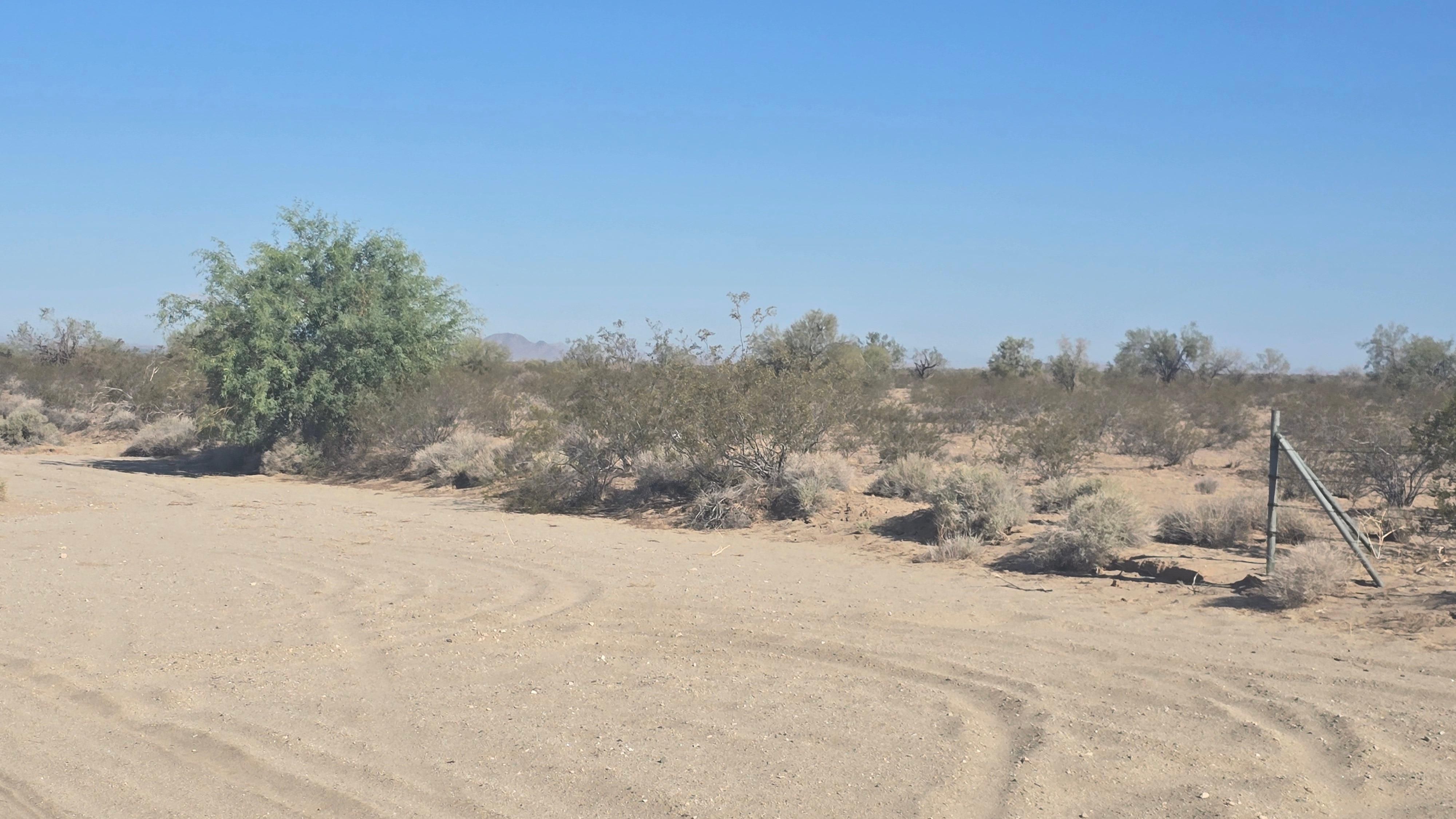 115XX W Riggs Rd, Buckeye, AZ 85326 | MLS: 6880495 | LandWatch