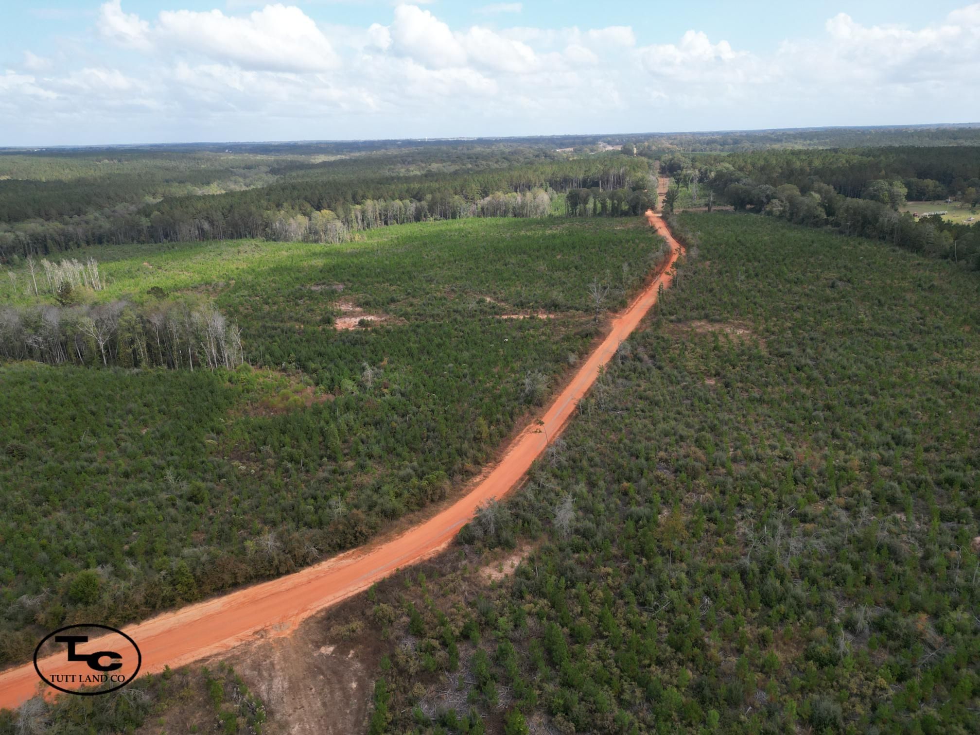 County Road 513, Elba, AL 36323 | LandWatch
