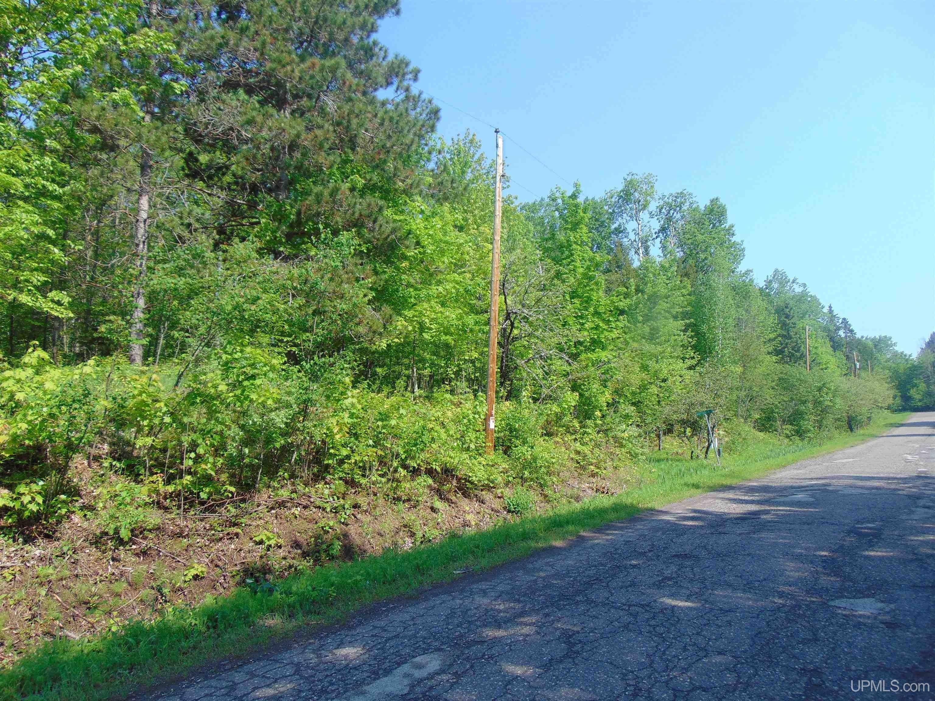 TBD 1 Alston, Pelkie, MI 49958 | MLS: 50178619 | LandWatch