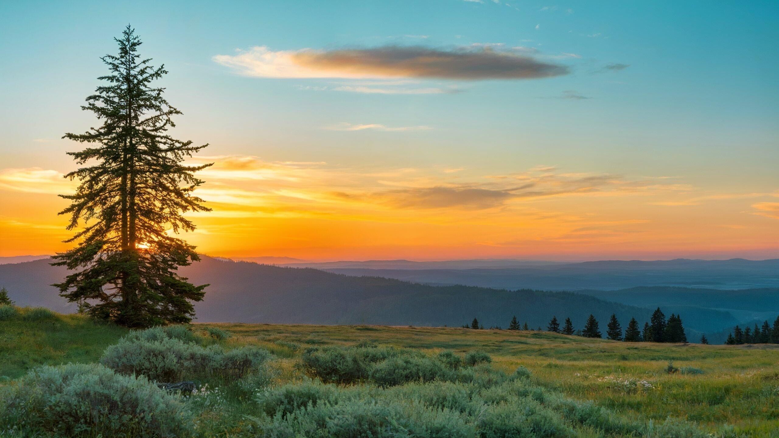 Fishhole Creek Road, Bly, OR 97622 | MLS: 220200007 | LandWatch