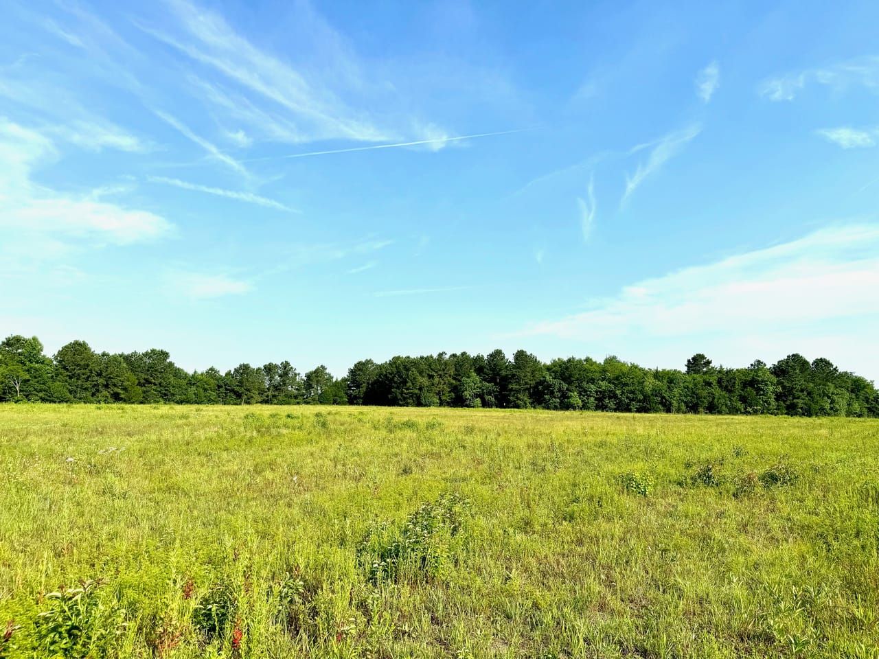 lot 8 Meadow Point, Pike Road, AL 36064 | LandWatch