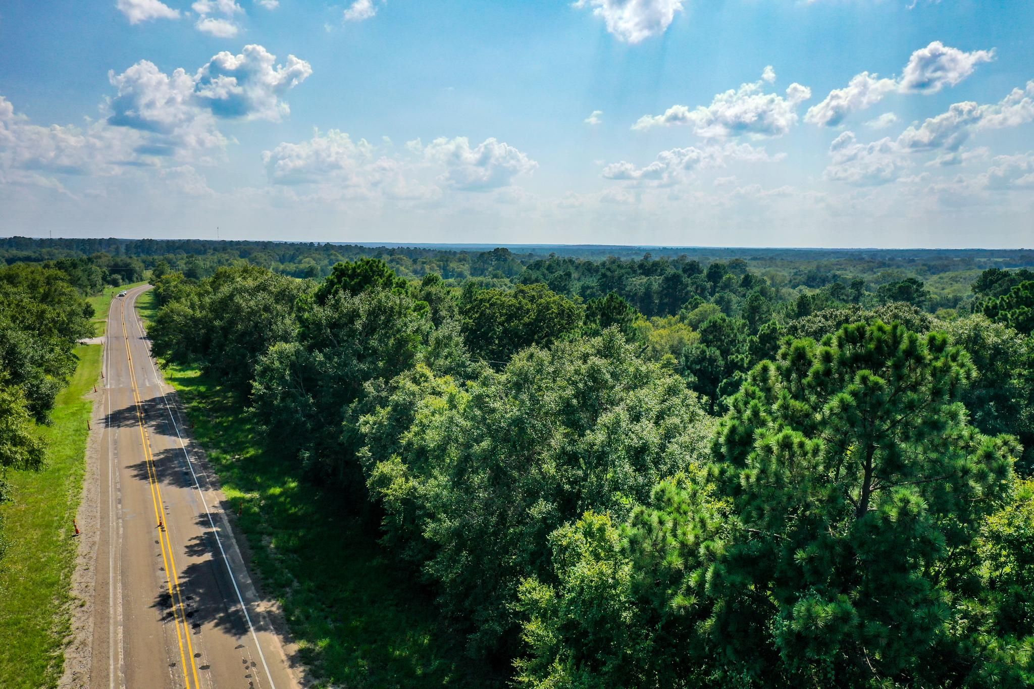 34 Acres FM 1374, Huntsville, TX 77340 | MLS: 28141025 | LandWatch