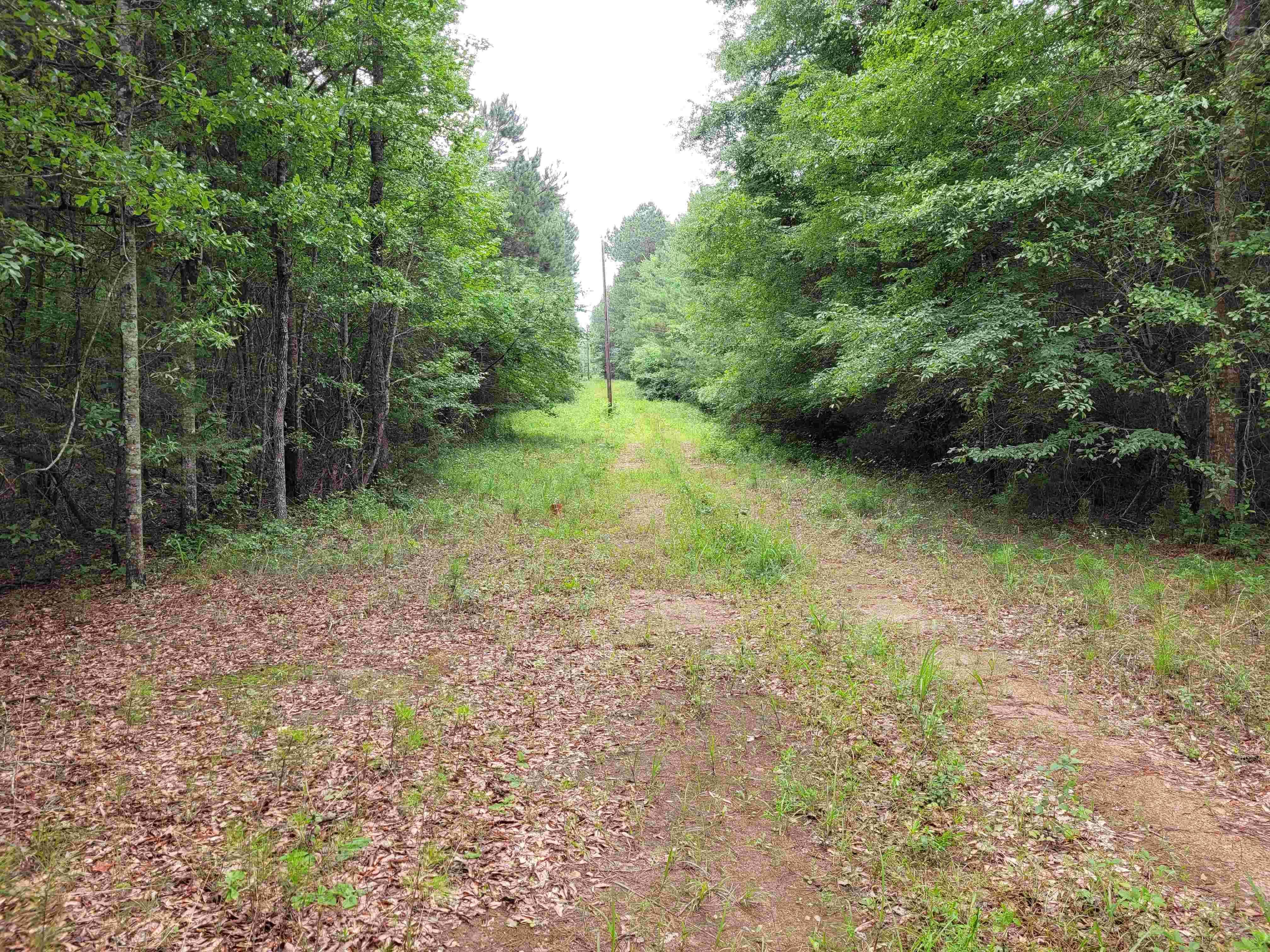 159 acres in Lafayette, AL, 36862 | MLS: Chambers 159 | LandWatch