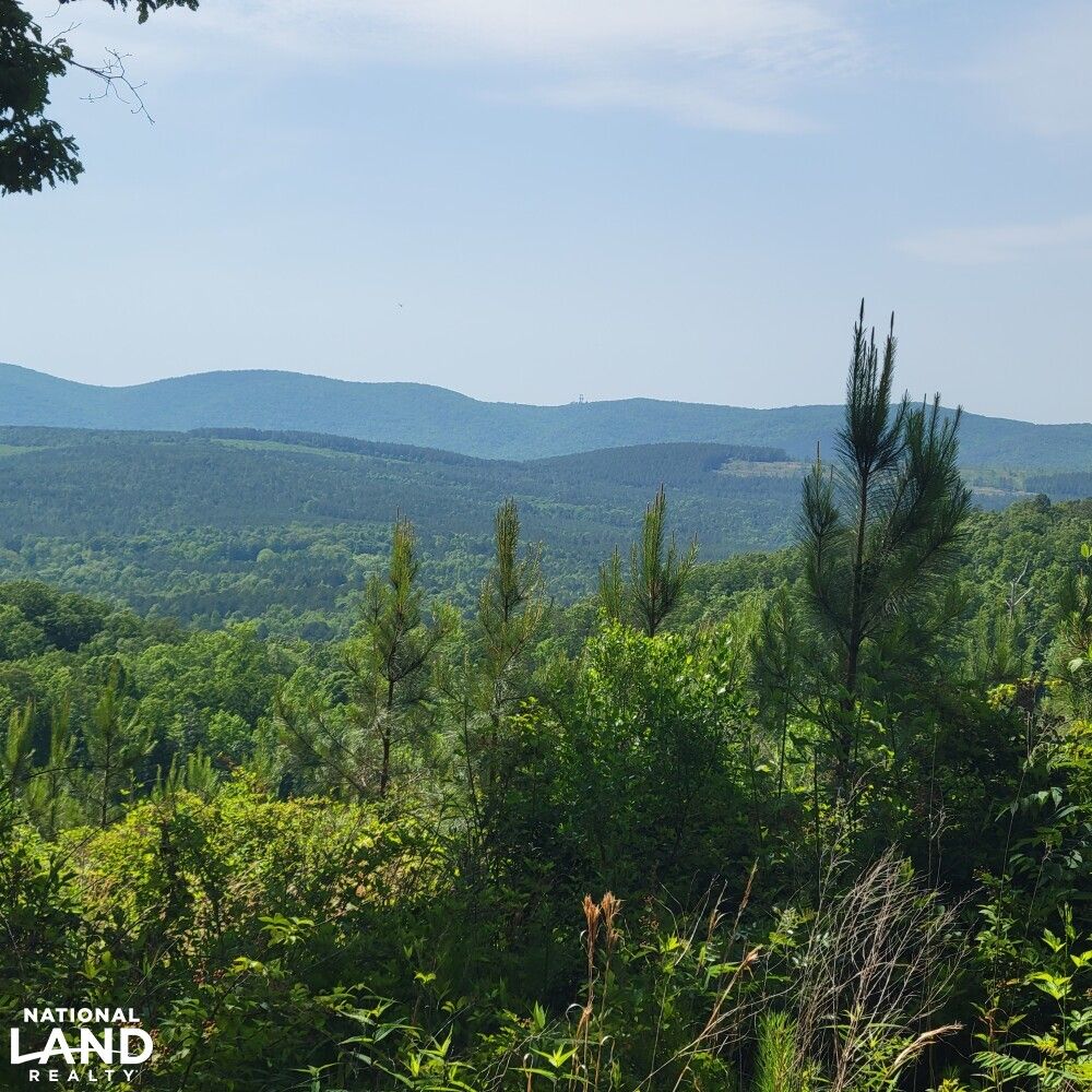 0 CR 77, Ashland, AL 36251 | LandWatch